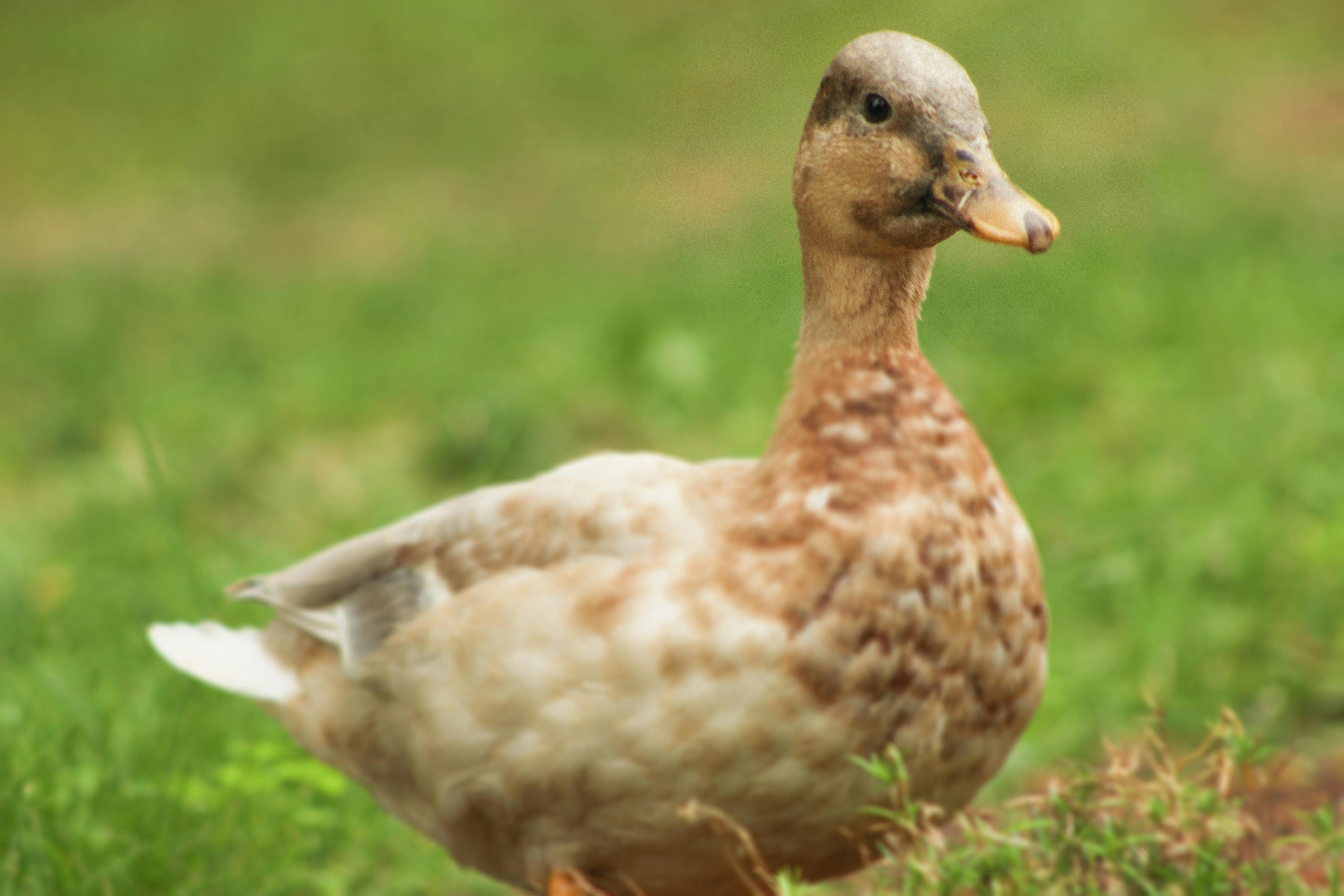 Christopher Conde - Photography