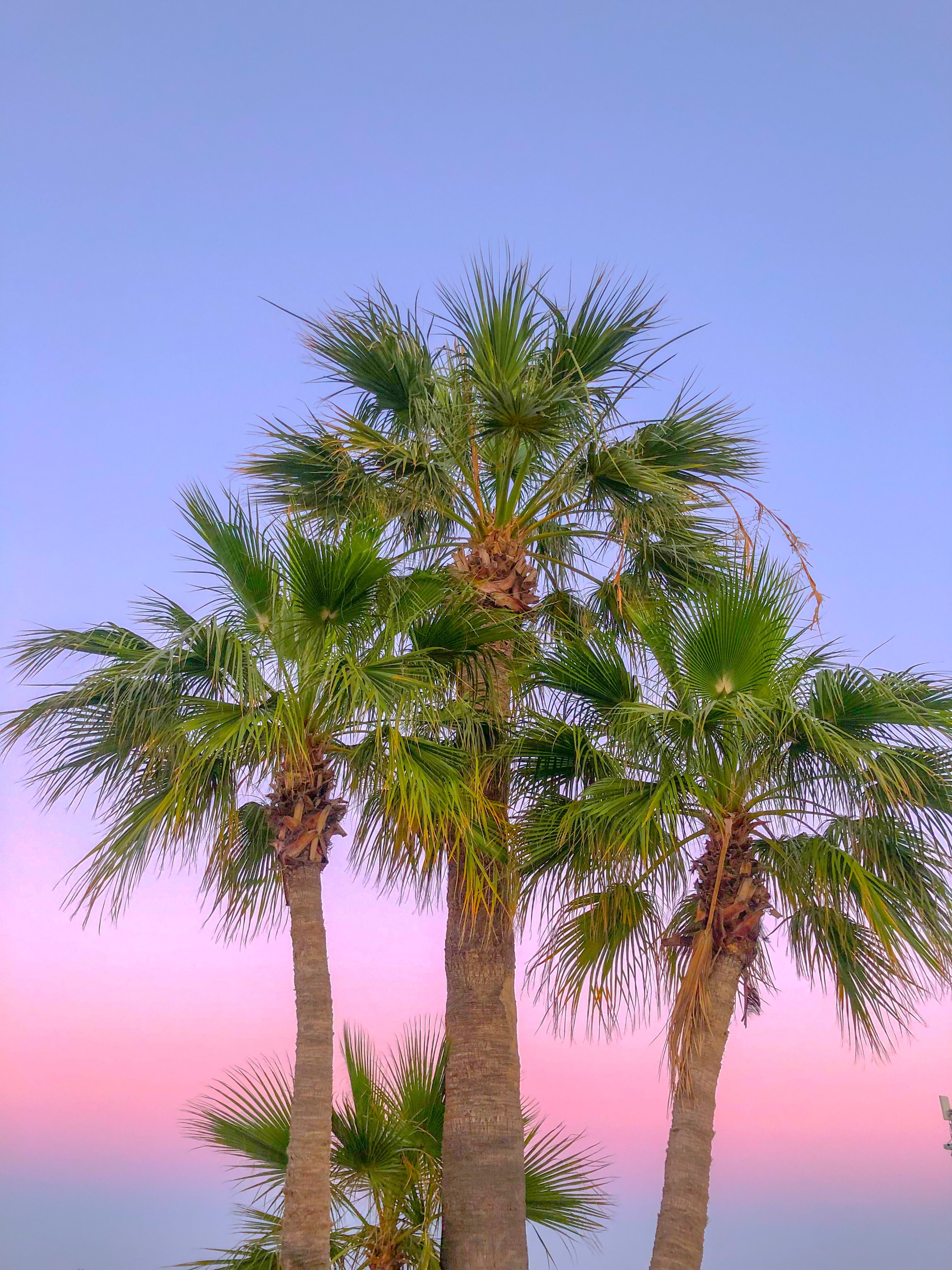 Gray Field during Sunset · Free Stock Photo