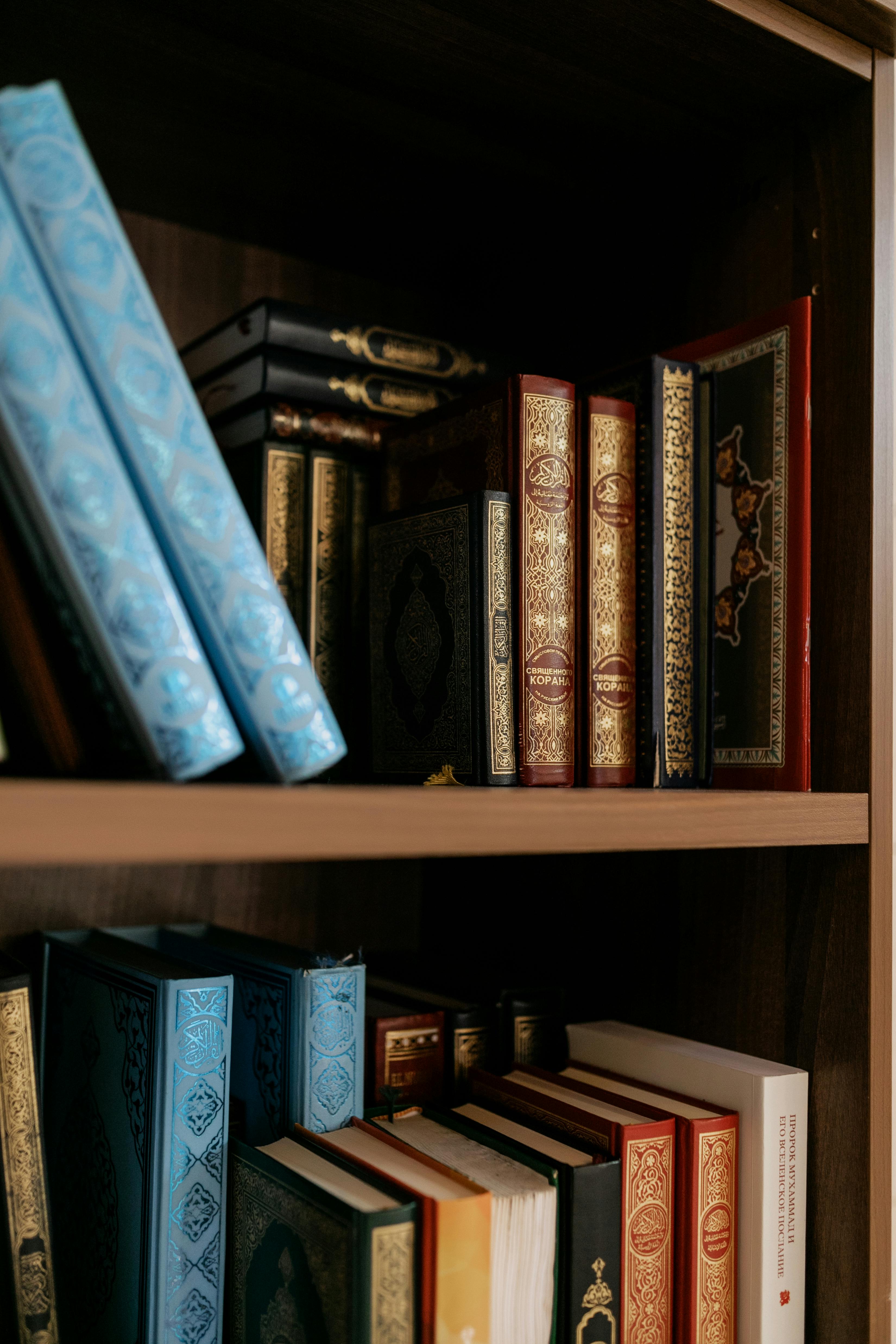 Muslim Library Photos, Download The BEST Free Muslim Library Stock ...