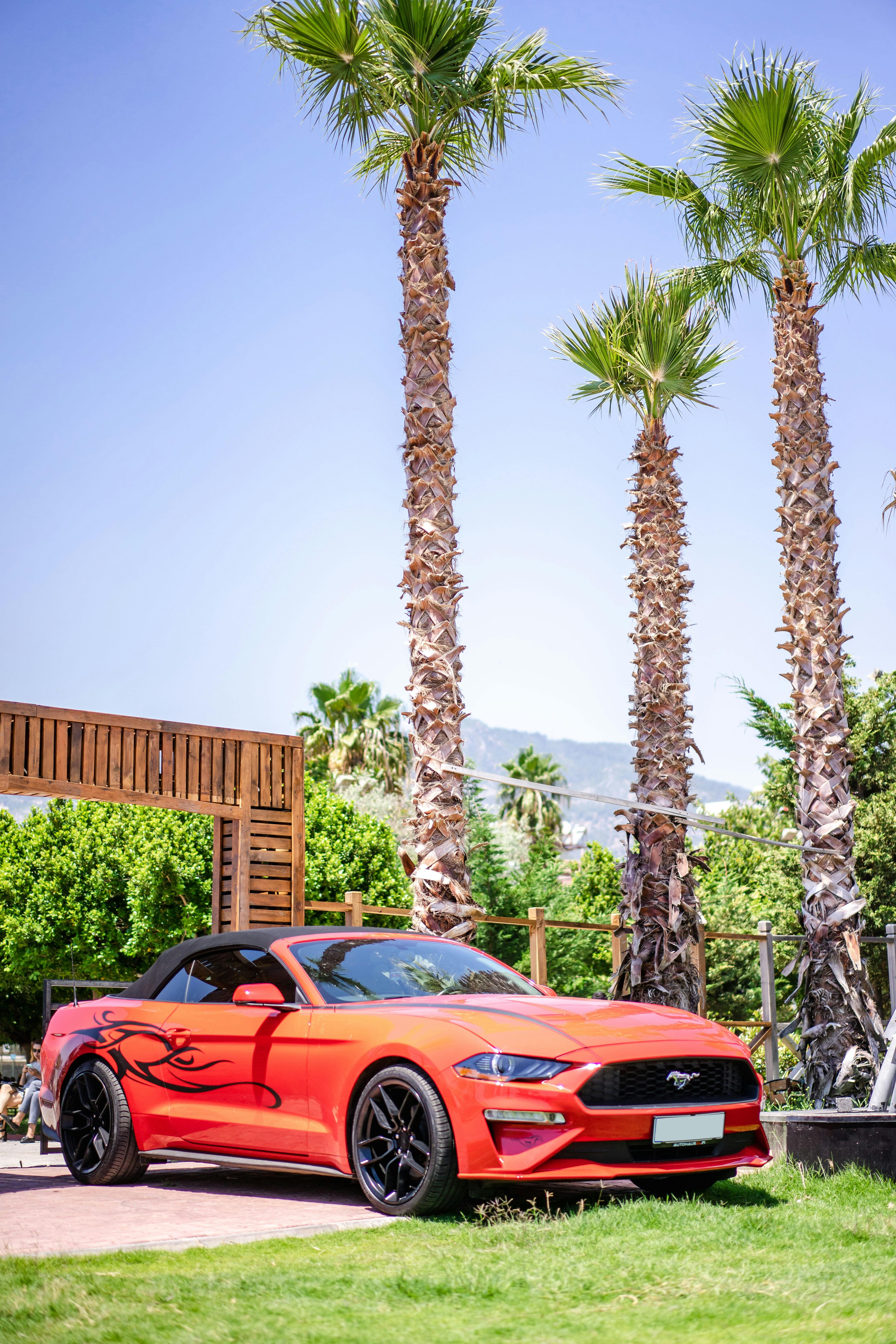 Red Ford Mustang Under Palm Trees · Free Stock Photo