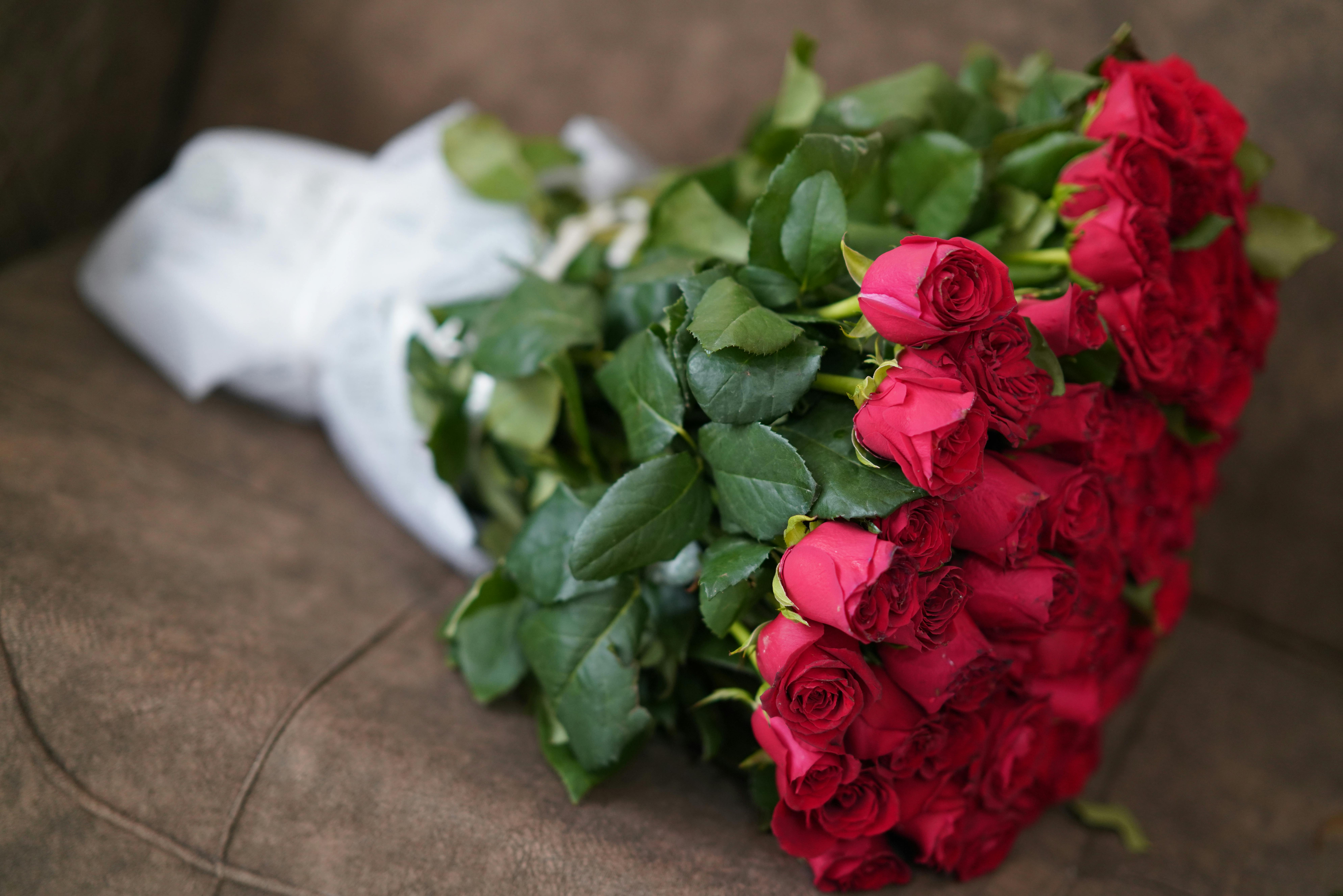 Bunch of Red Roses · Free Stock Photo