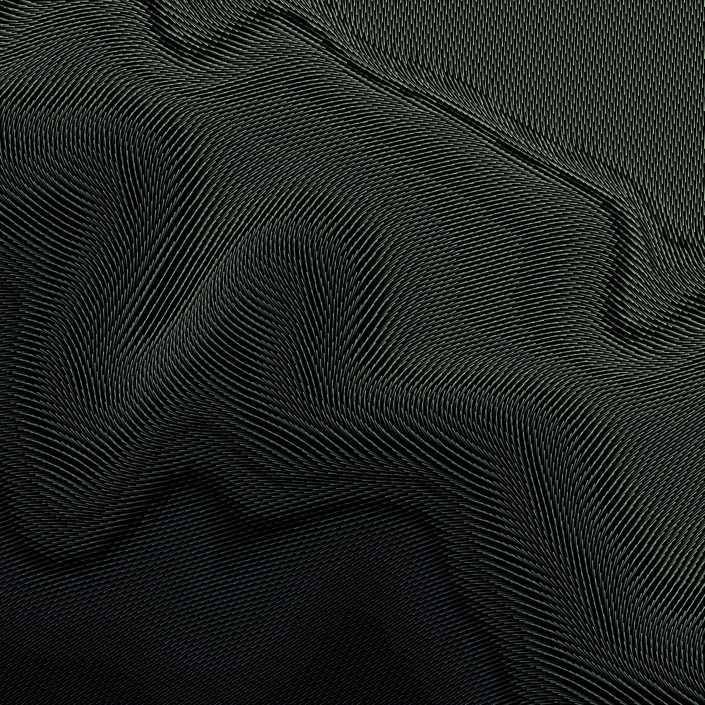 Close up of Snake Skin · Free Stock Photo