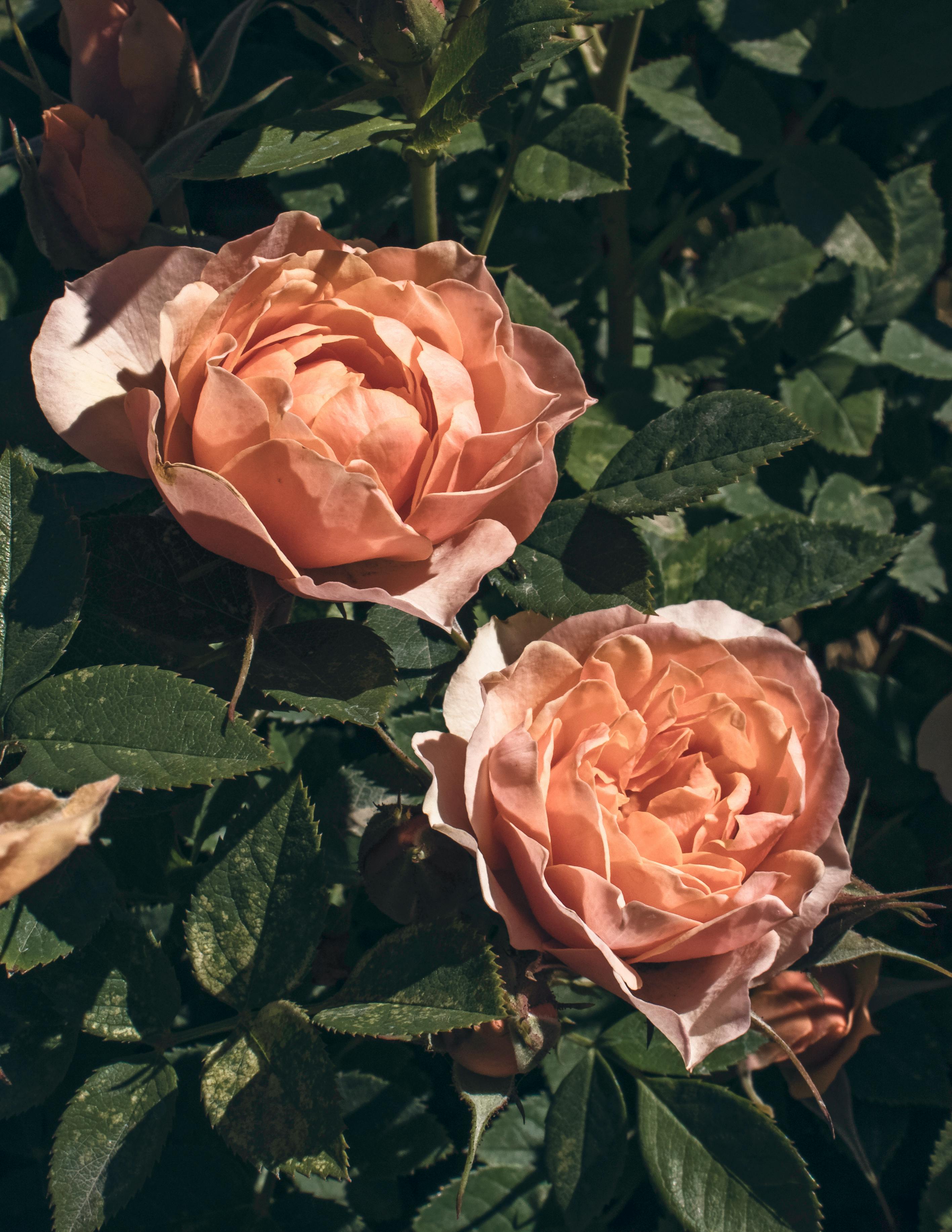 144,148+ Best Free Portfolio background Stock Photos & Images · 100% ...