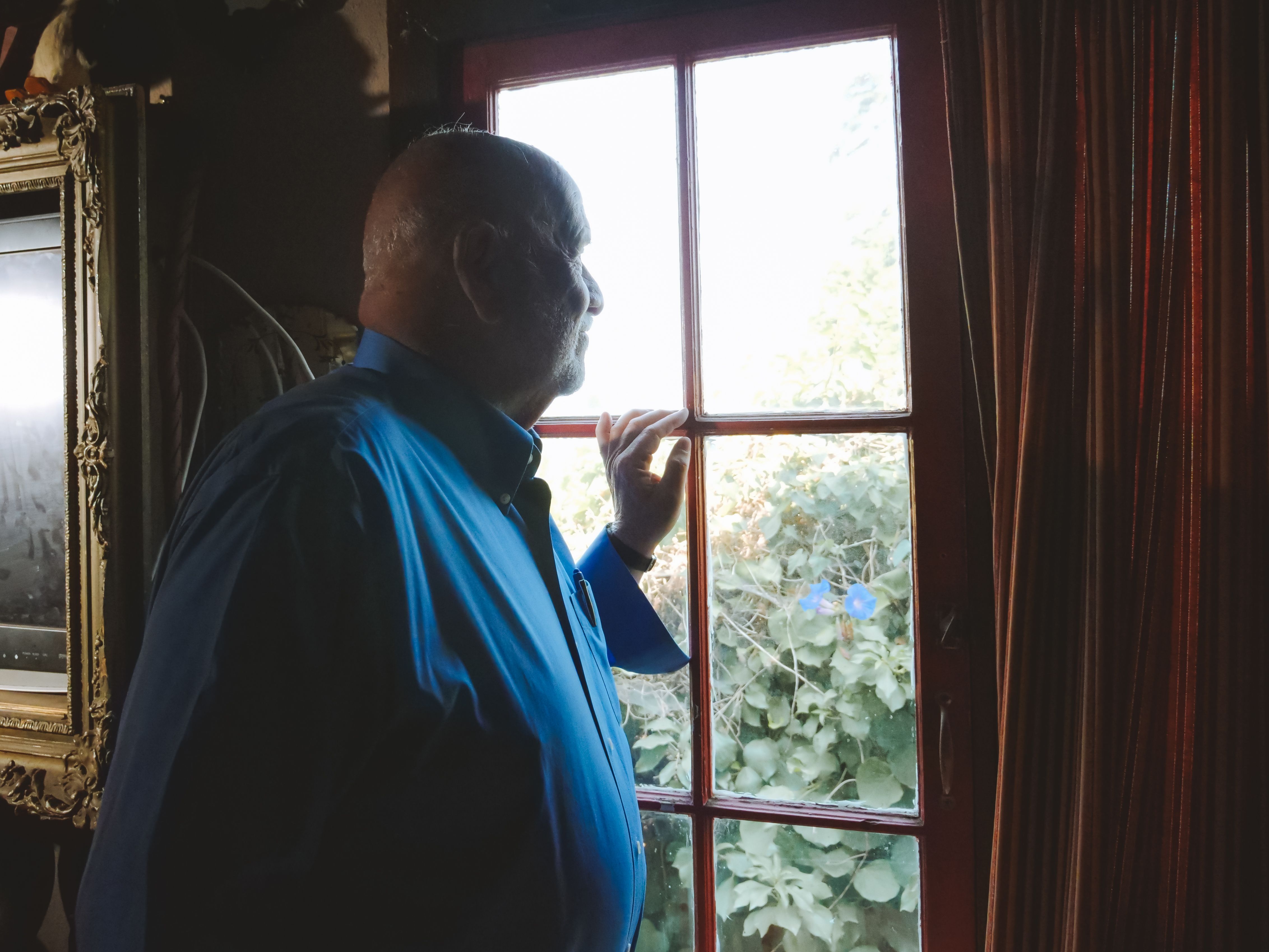 Man Looking Out the Window · Free Stock Photo