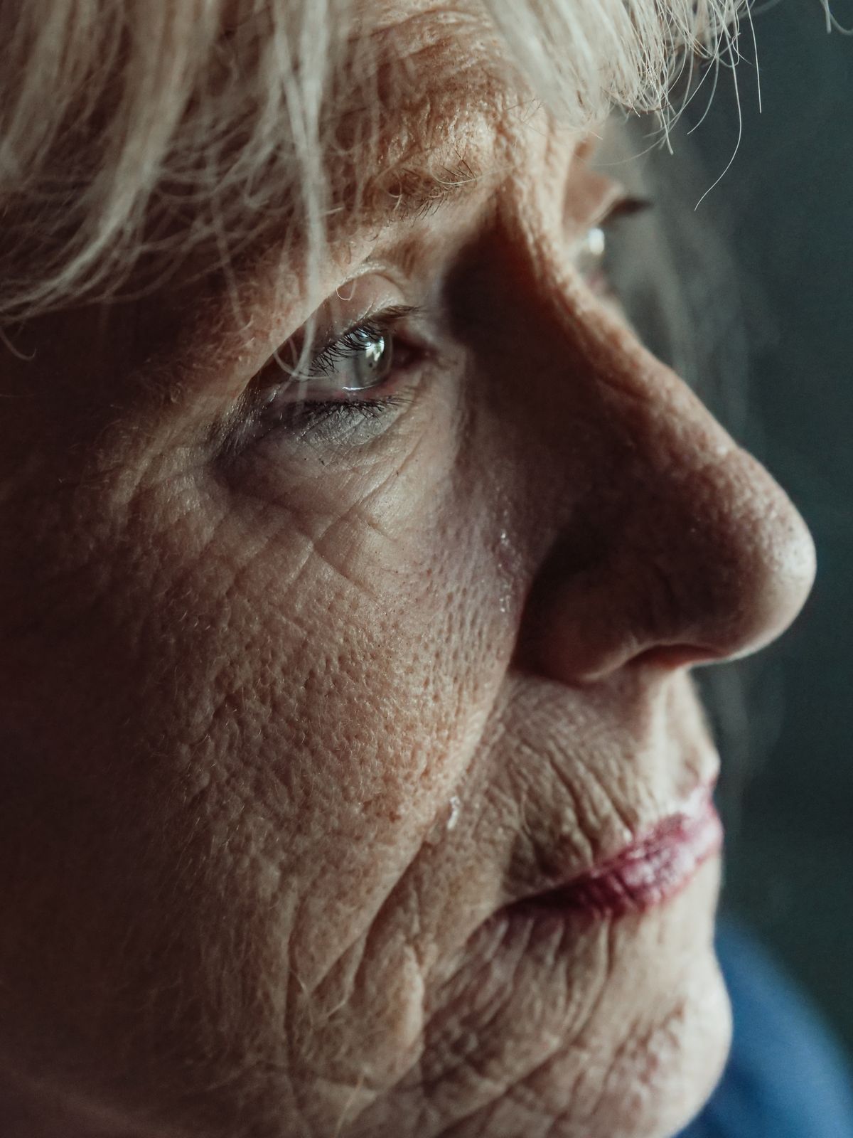 Close Up Face Photos, Download The BEST Free Close Up Face Stock Photos ...