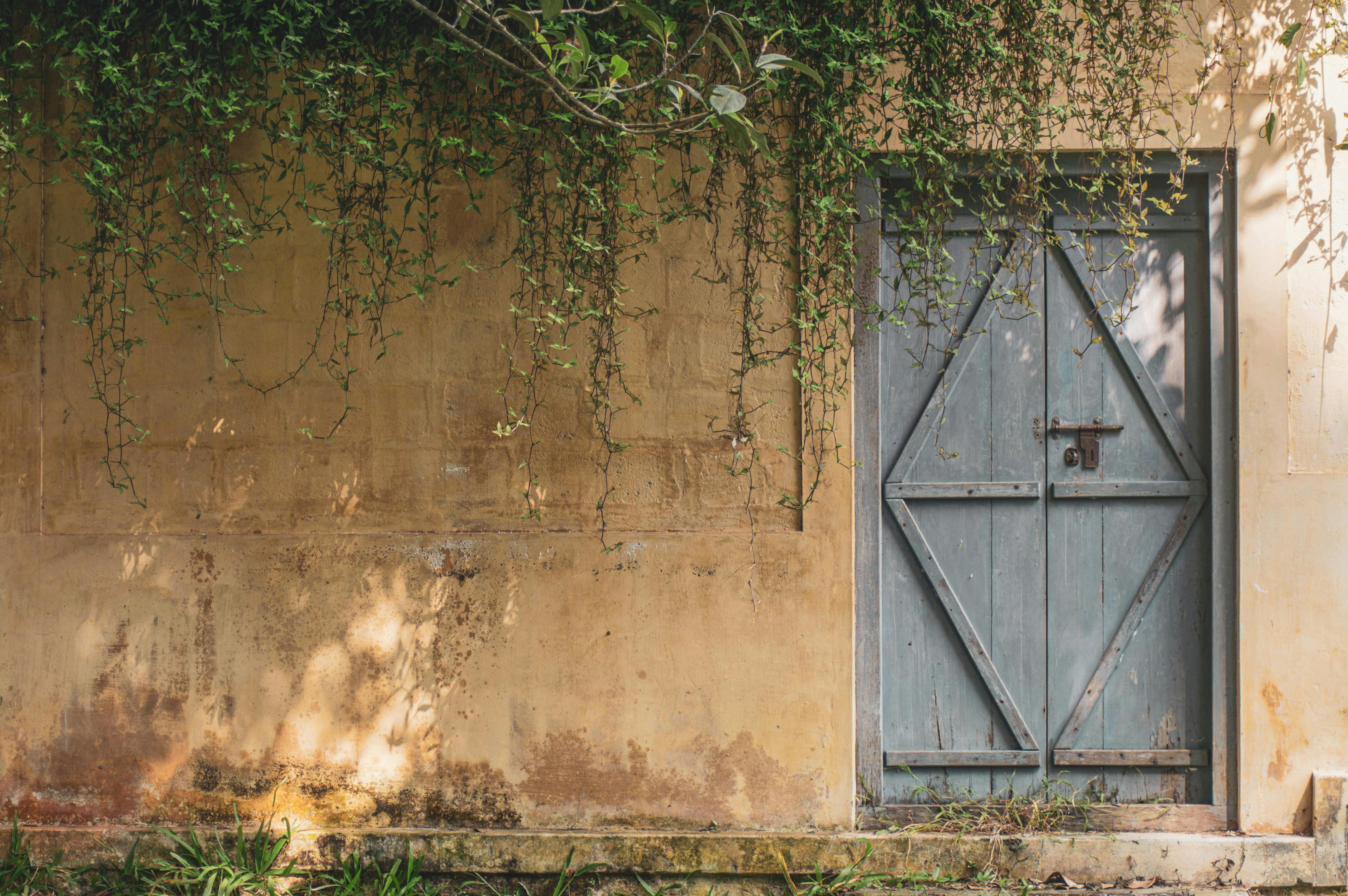 Wooden Doors on Overgrown Wall · Free Stock Photo