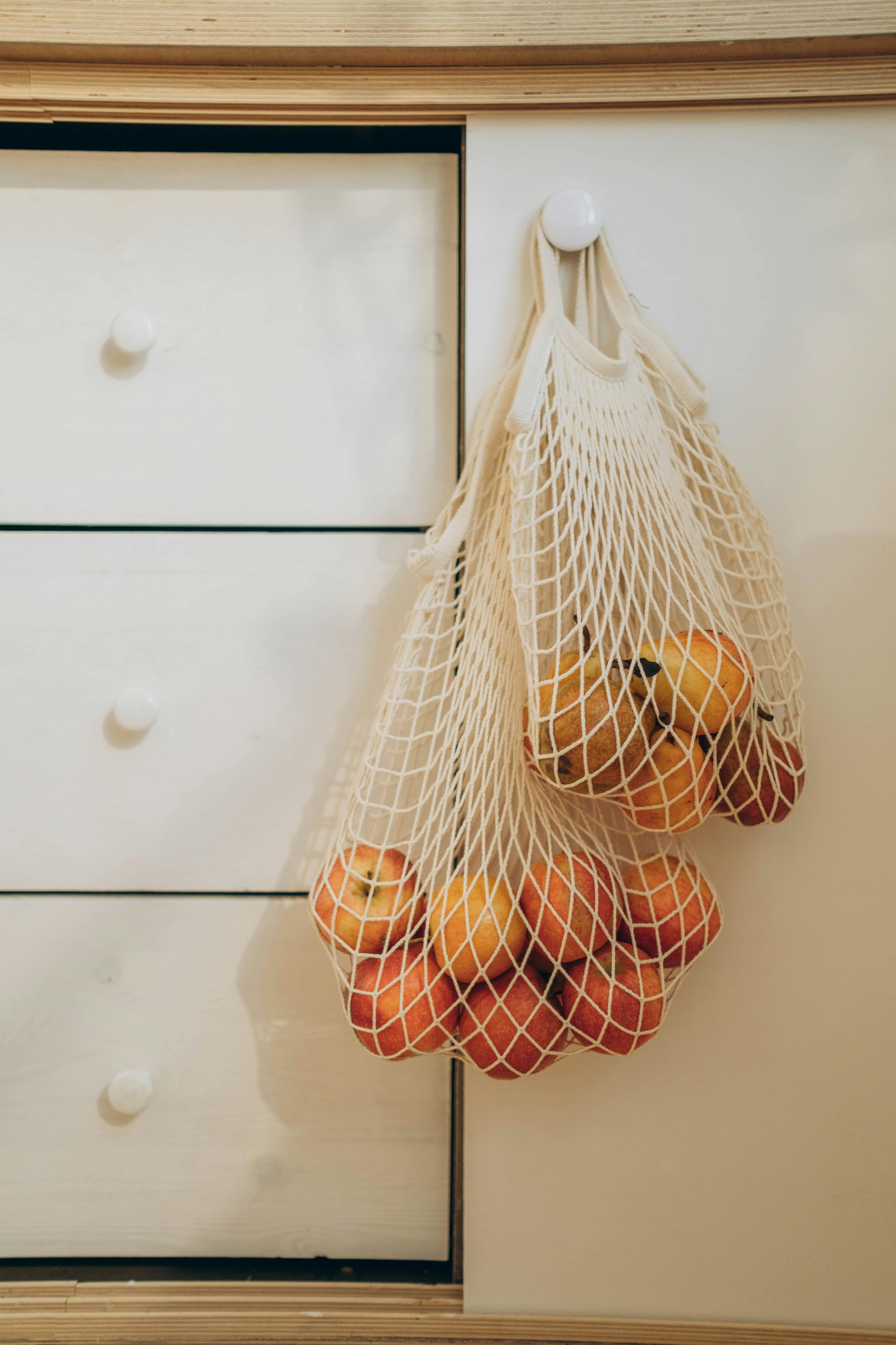 Pears Growing on Tree · Free Stock Photo