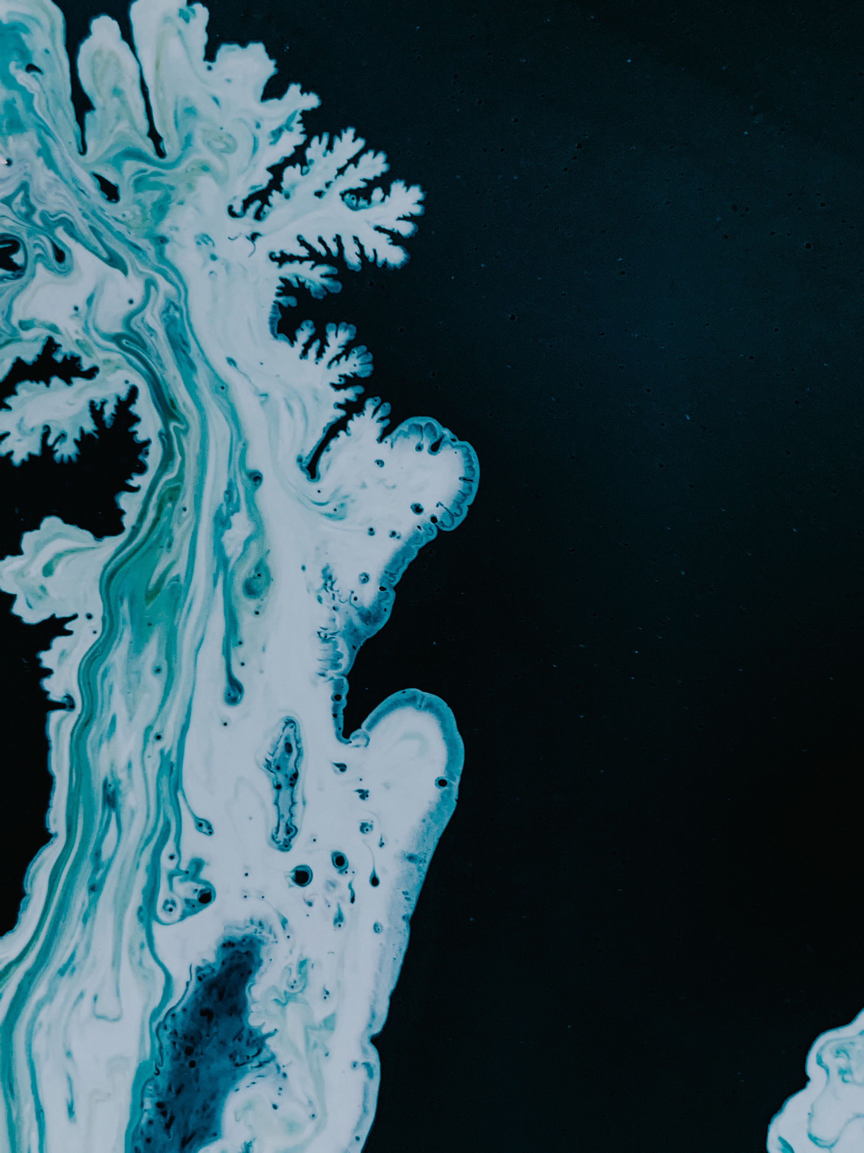 Abstract Shapes of Spilled Ink · Free Stock Photo