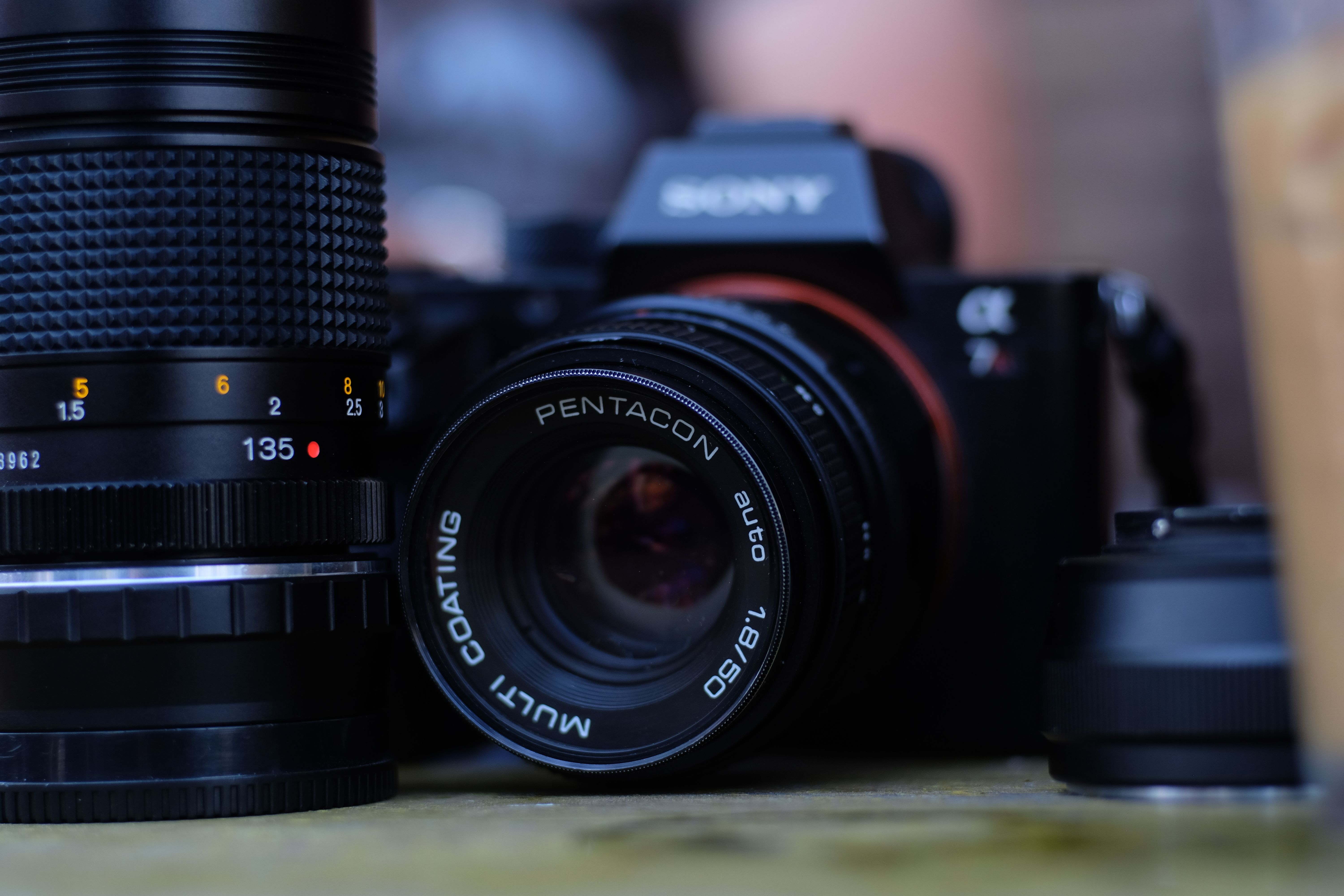 Woman in Grey Shirt Taking Picture With Dslr Camera · Free Stock Photo