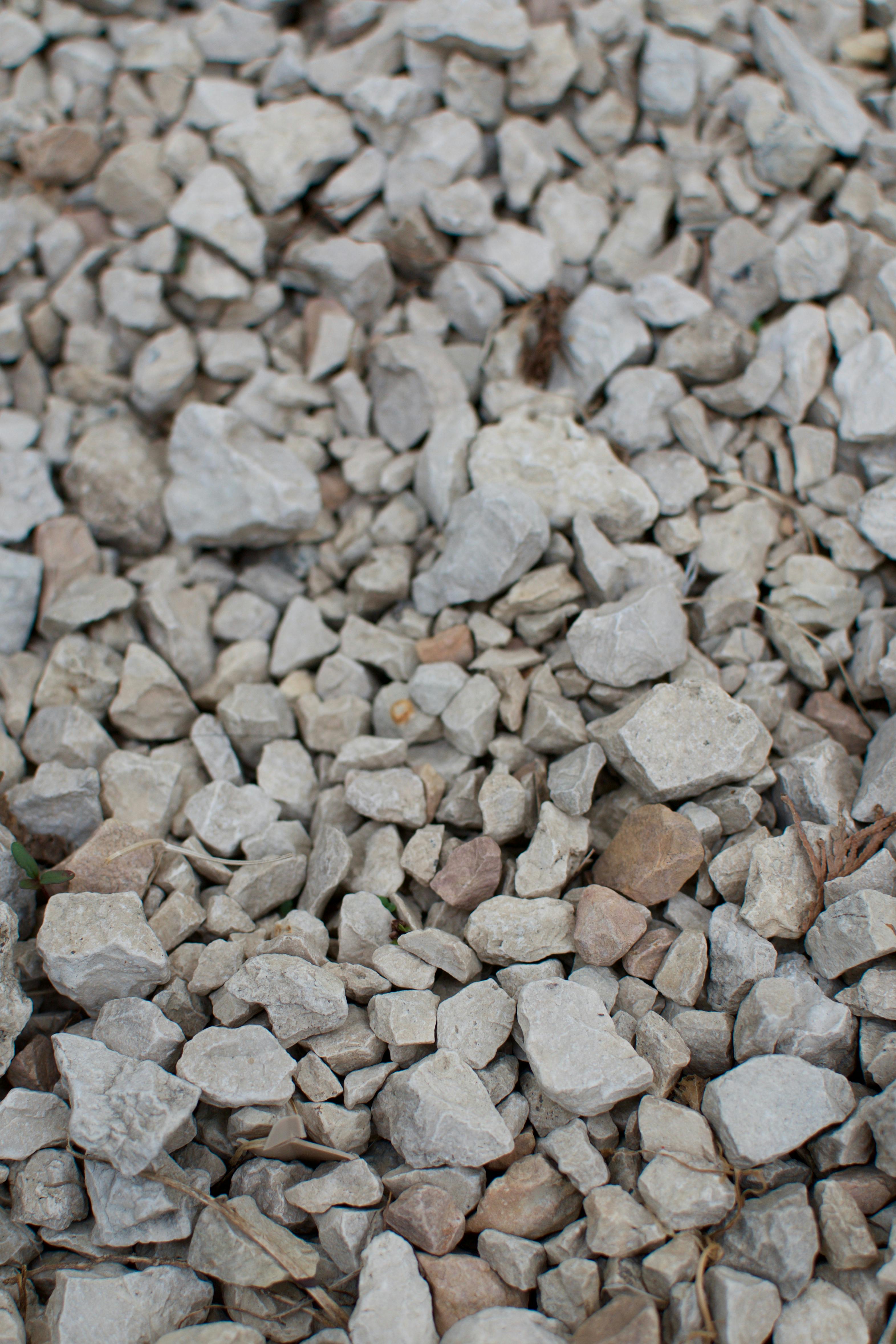 Pebble Stone on Ground · Free Stock Photo