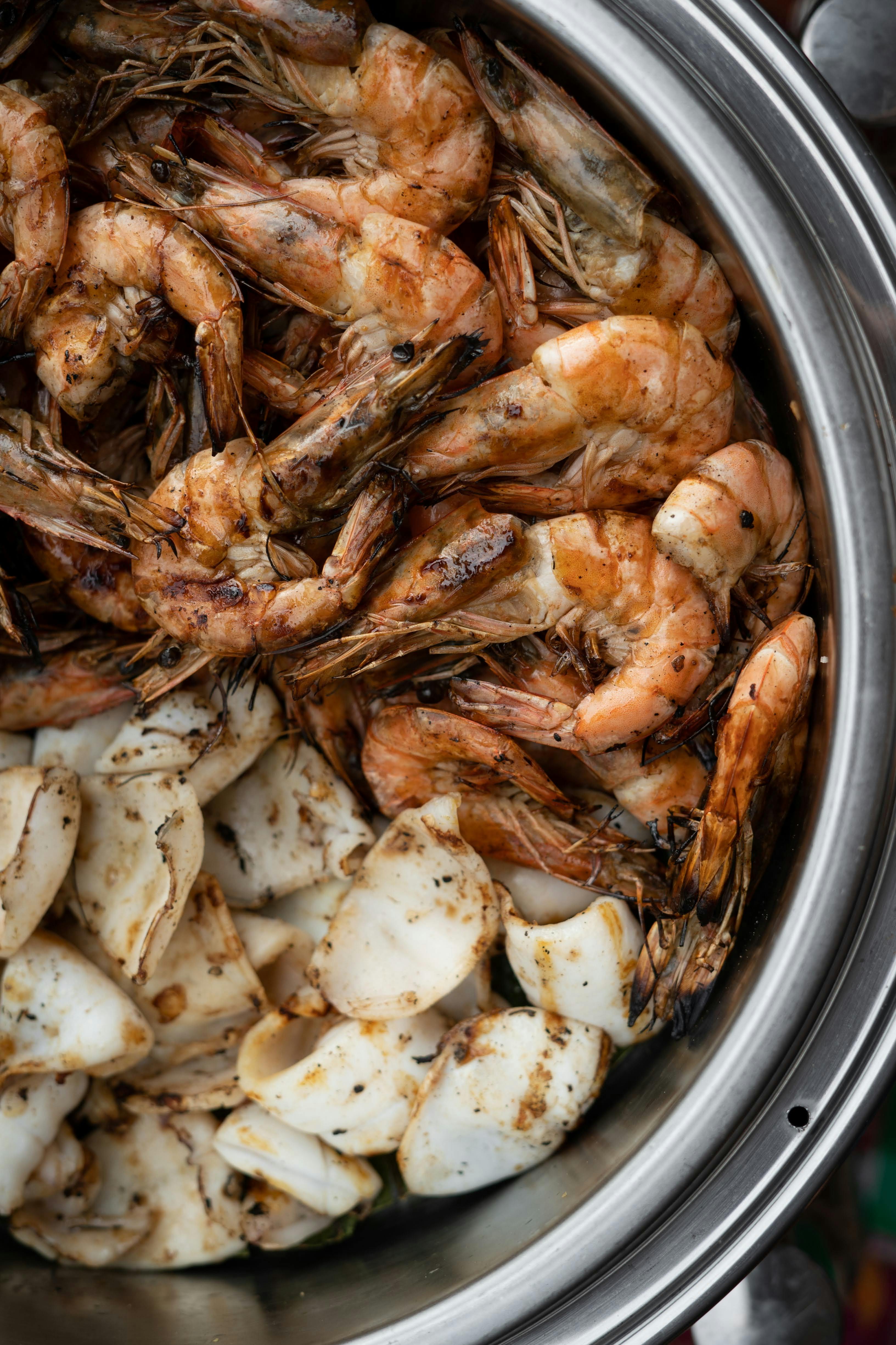 Squid Photos, Download The BEST Free Squid Stock Photos & HD Images