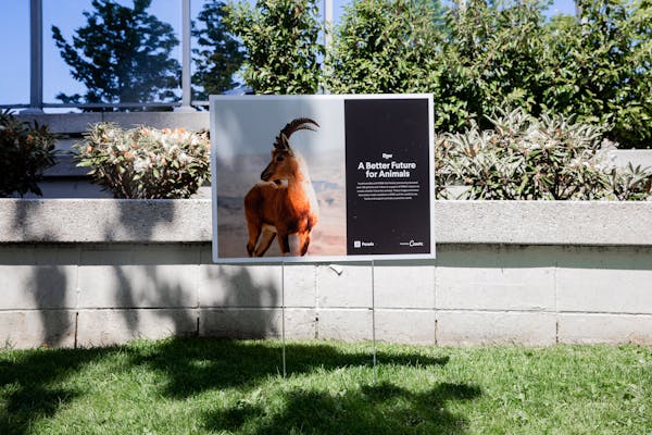 Join Pexels & Discover Thousands of Free Photos You Can Use Everywhere!