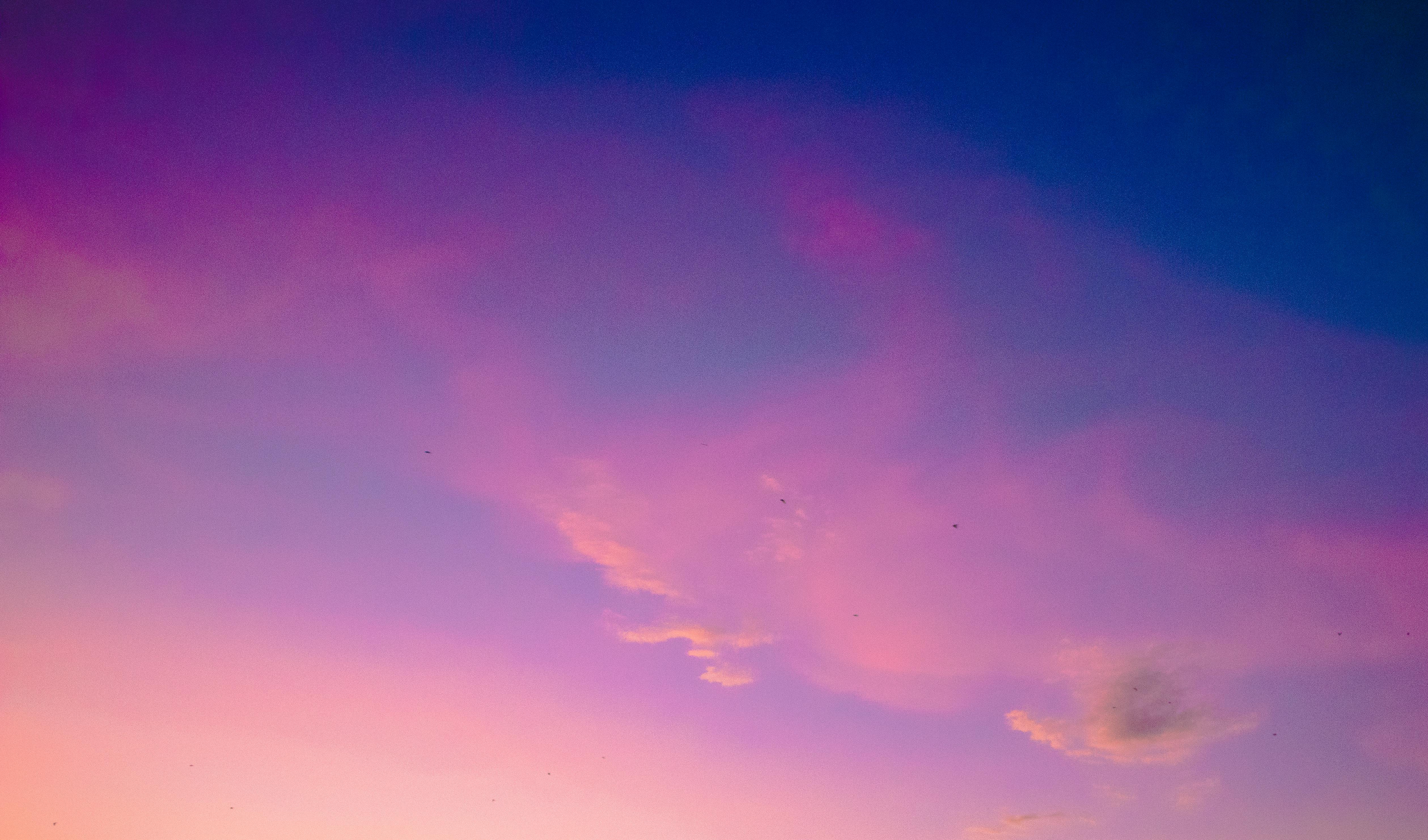 Purple and Pink Sky · Free Stock Photo