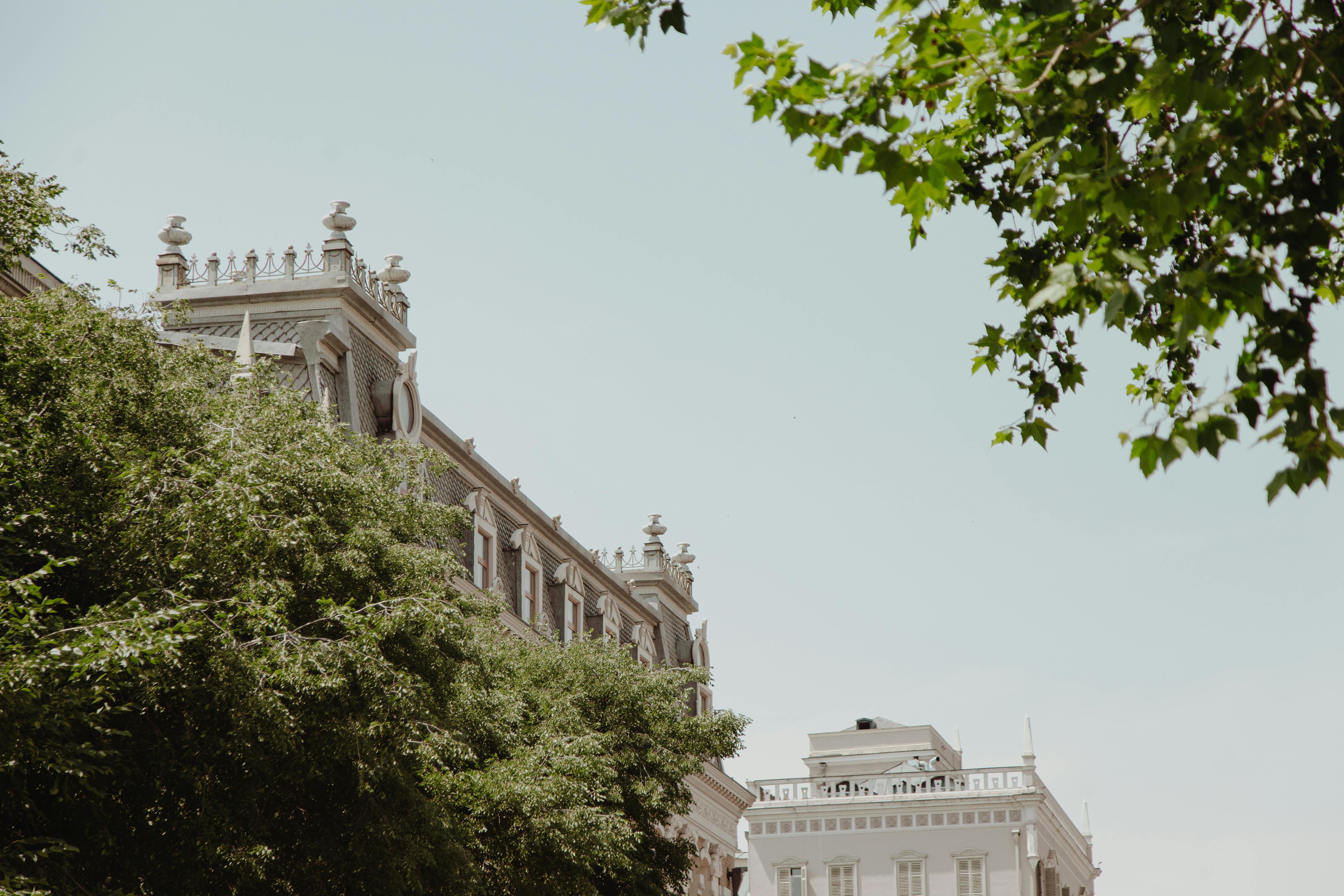 Roof Towers of a Classic Palace · Free Stock Photo