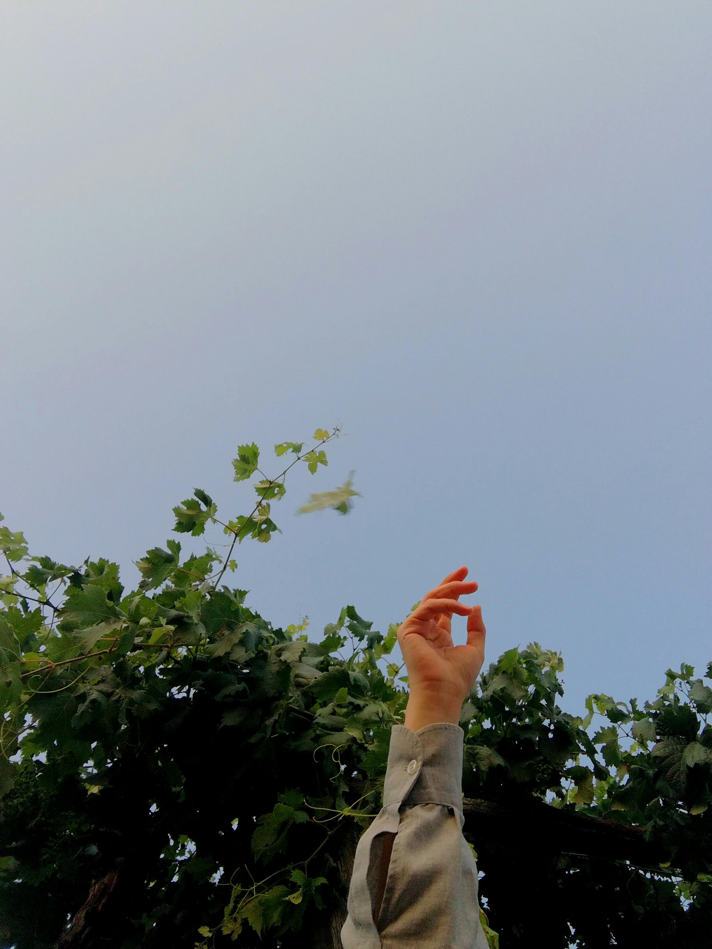 Close-up of a Person Putting Their Hand Up on the Background of Blue ...