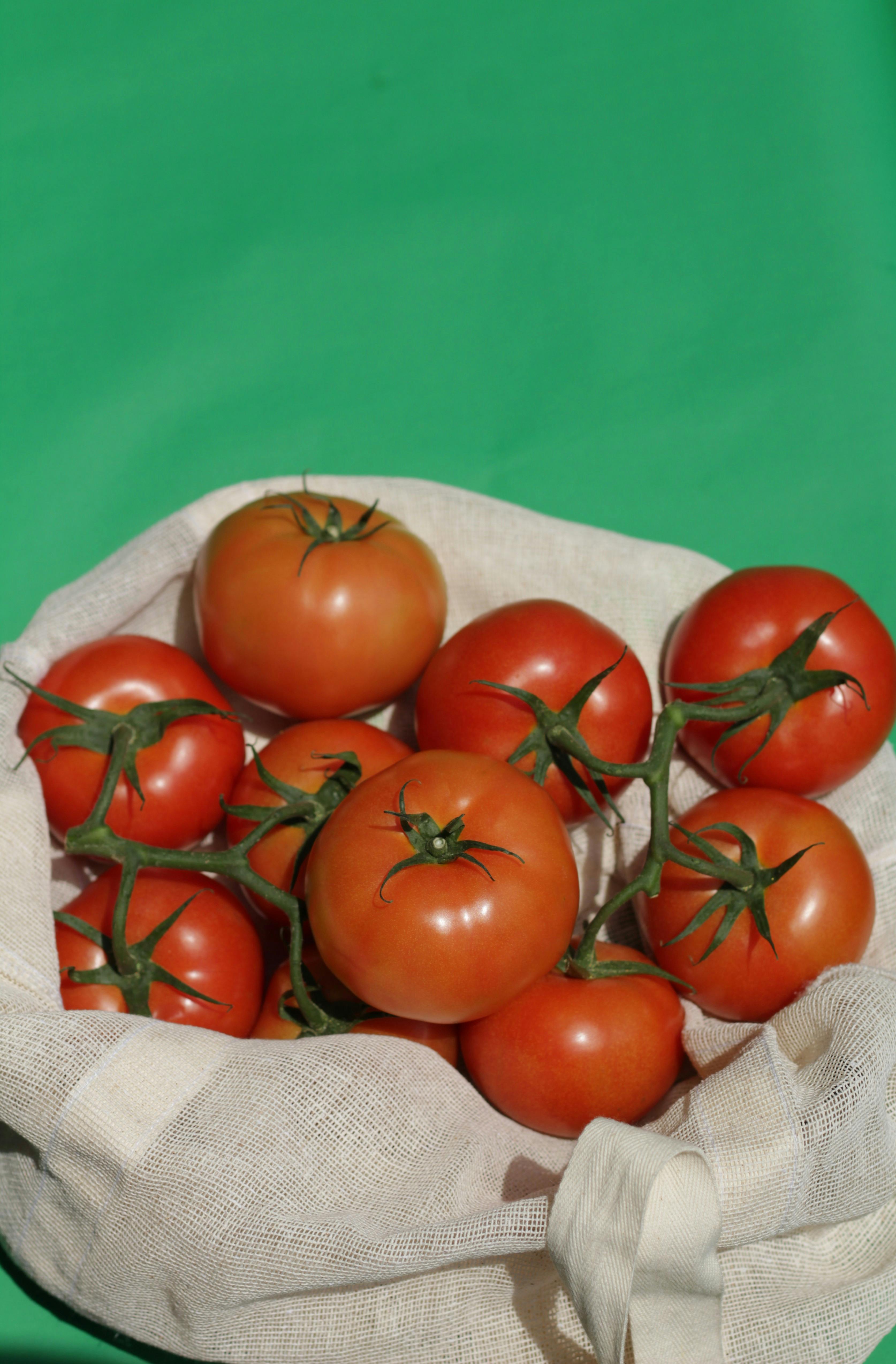 4,000+ Best Tomato Photos · 100% Free Download · Pexels Stock Photos