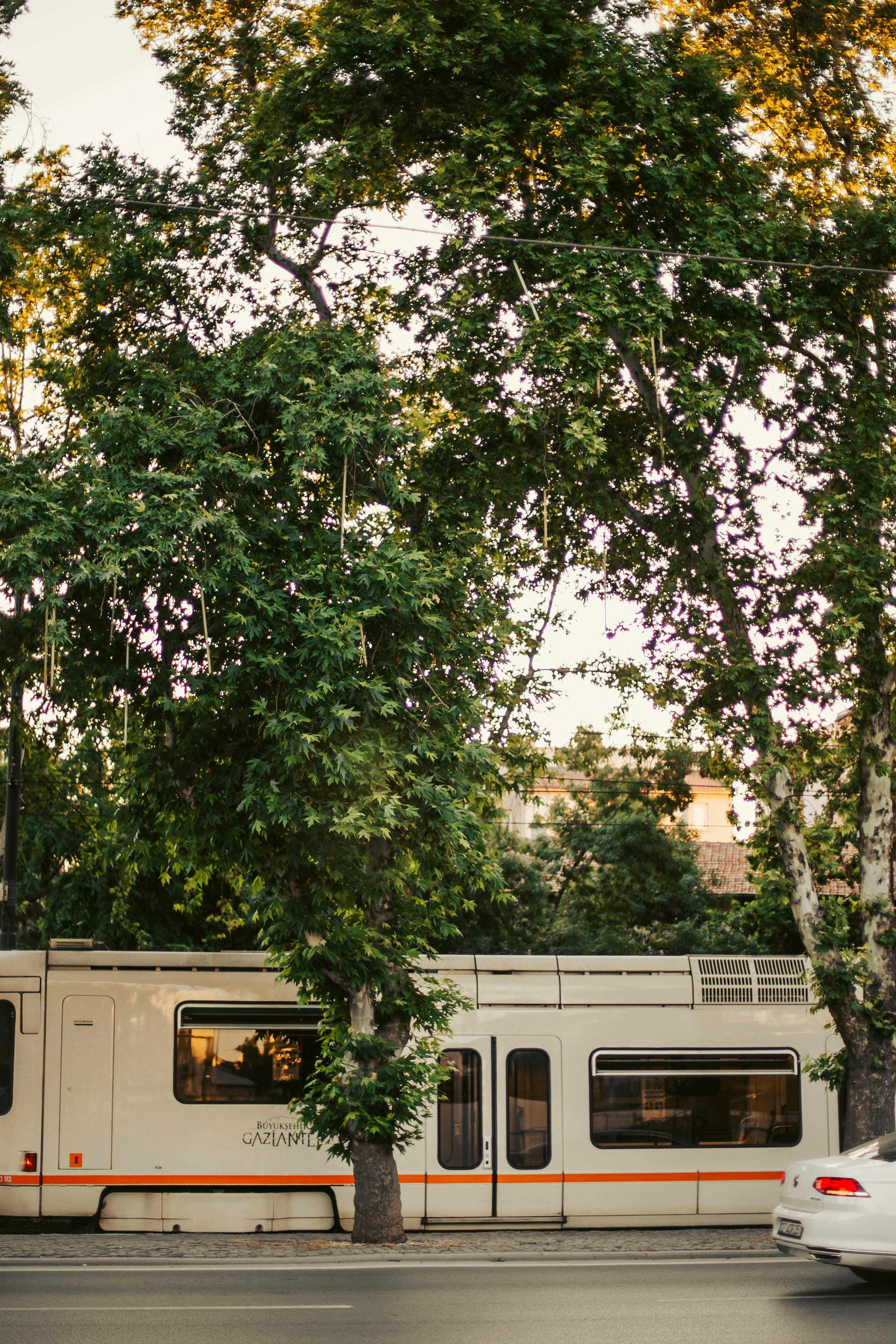 A Train Used for Public Transportation · Free Stock Photo