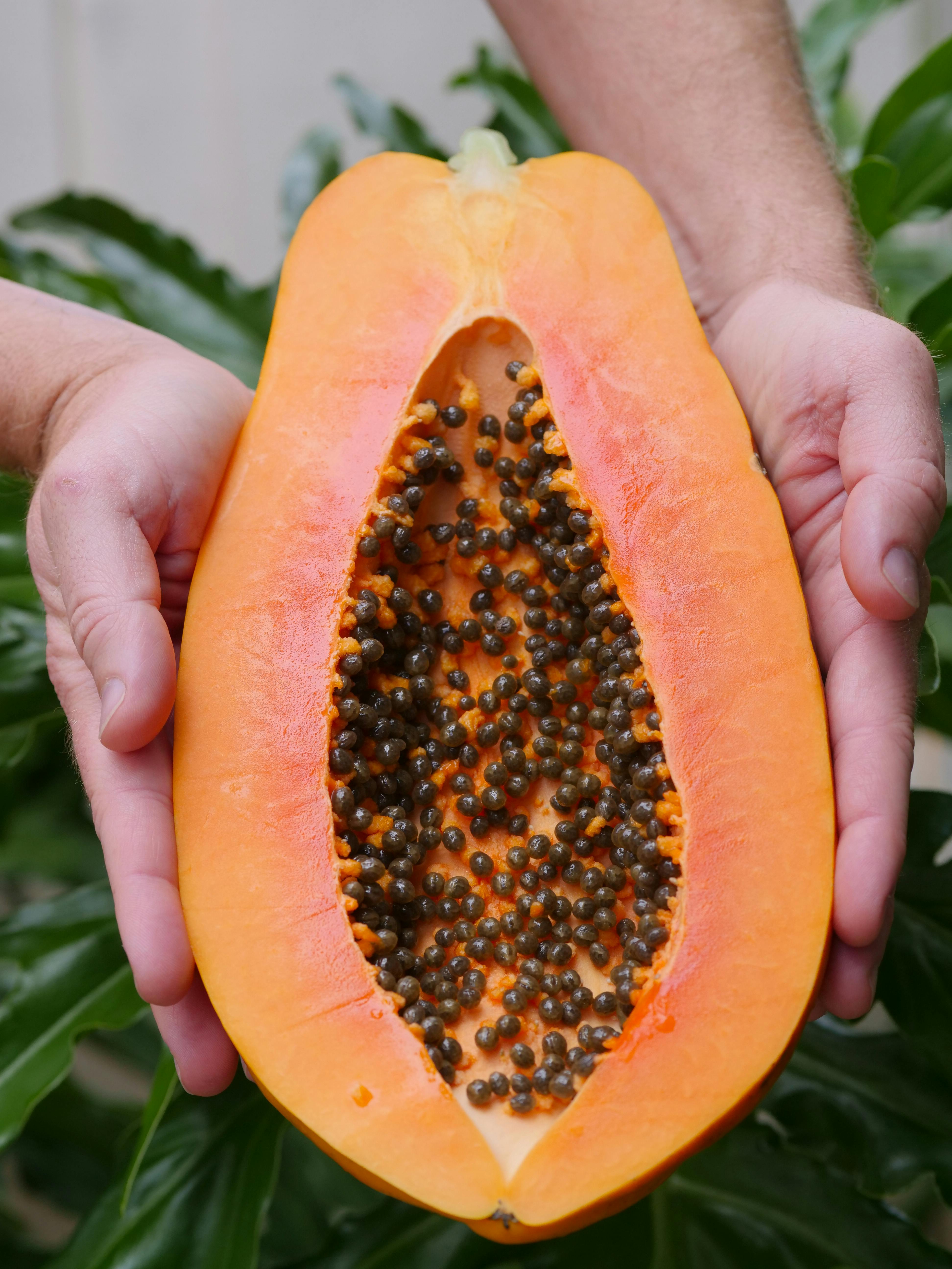 Sliced Papaya in Close Up Photography · Free Stock Photo