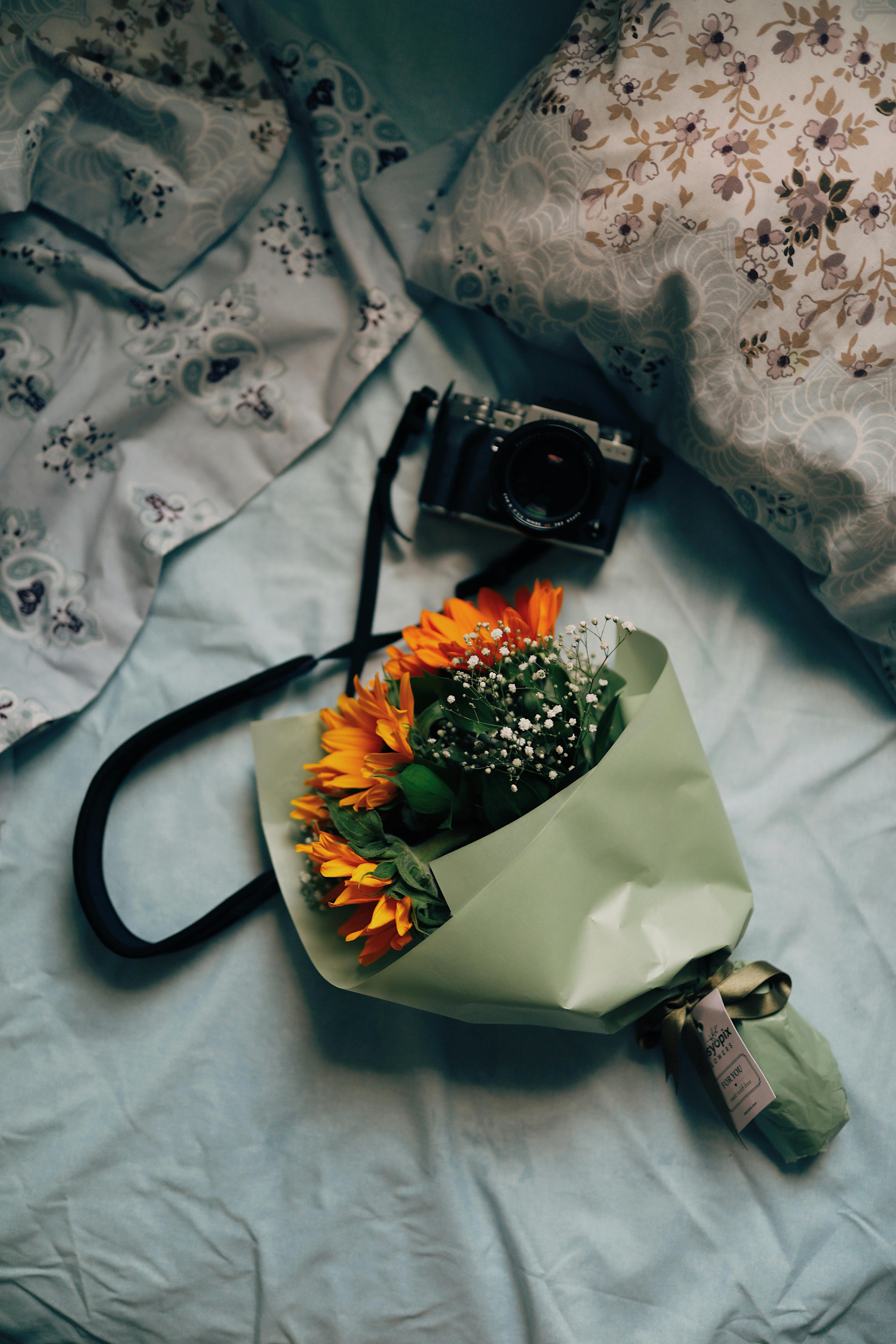 40,000+ Best Bedtime Photos · 100% Free Download · Pexels Stock Photos