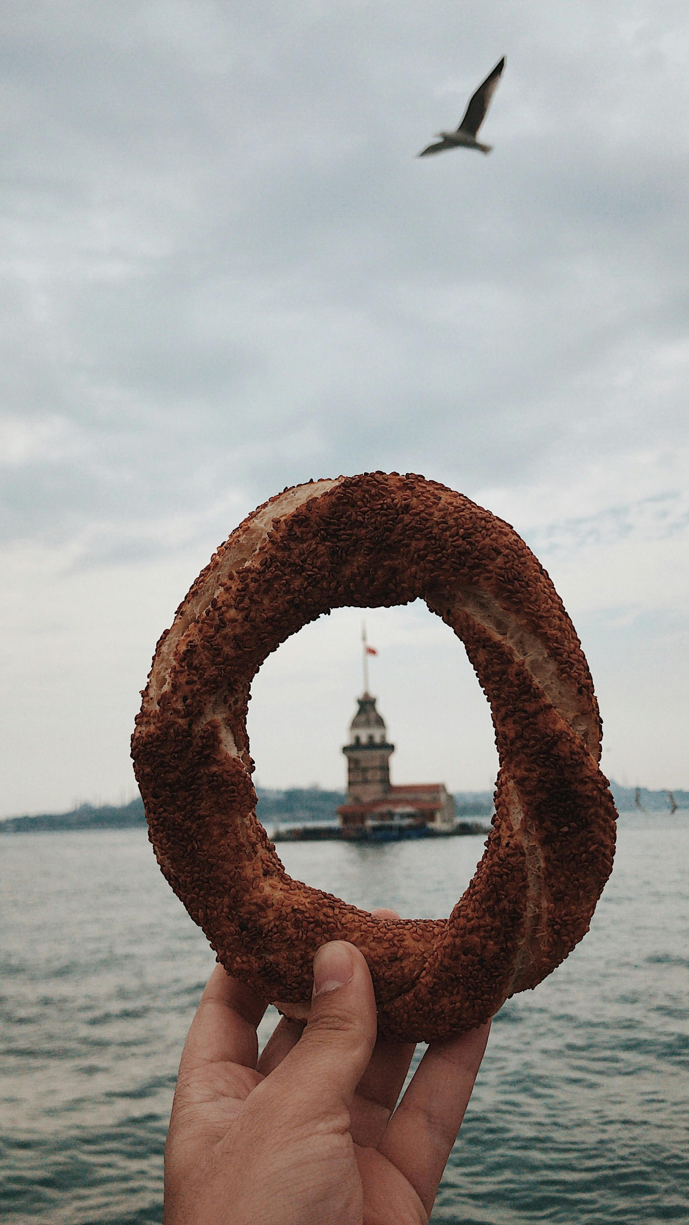 Hand Turkey Photos, Download The BEST Free Hand Turkey Stock Photos ...