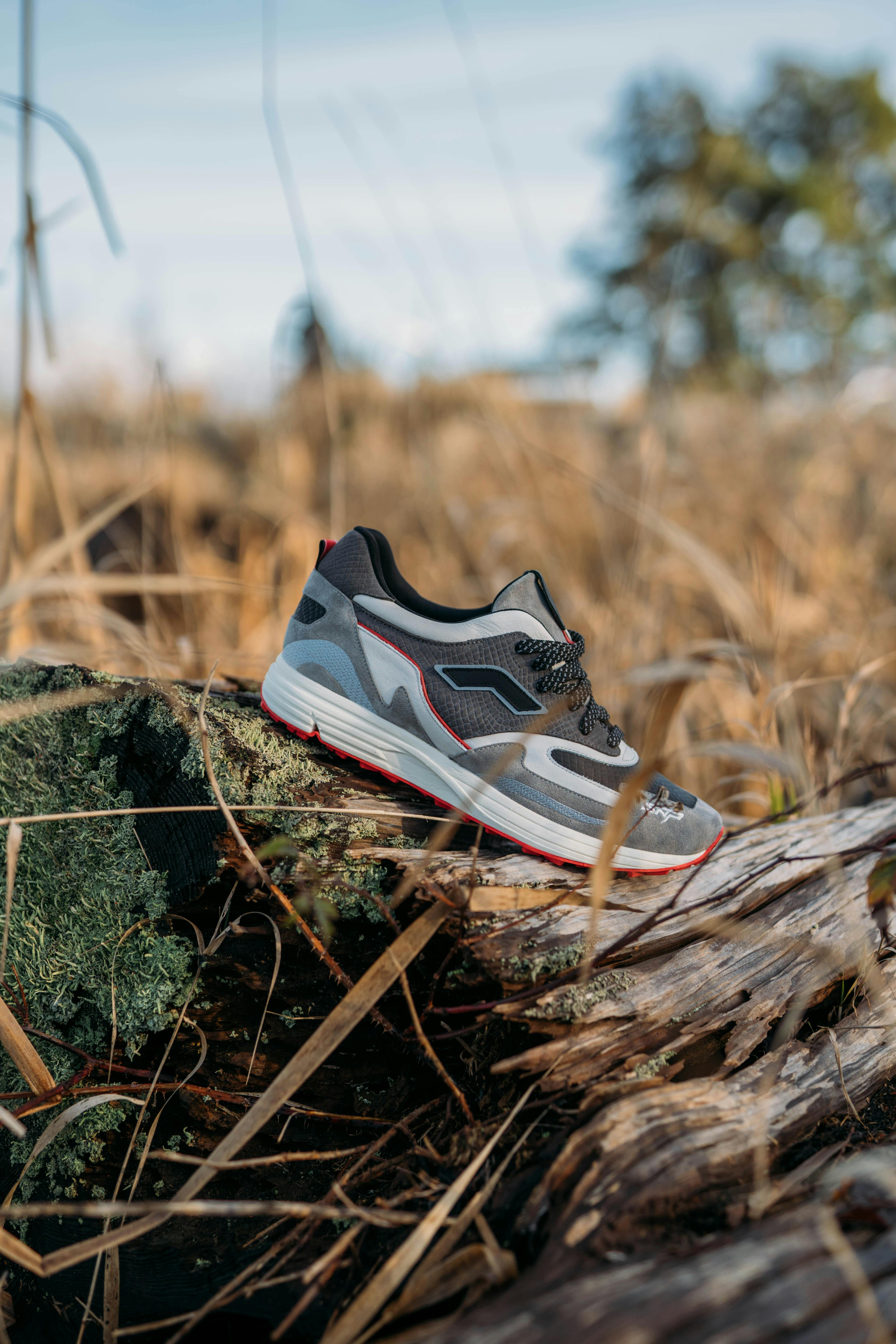 Sneep Crew Sneakers on a Log · Free Stock Photo