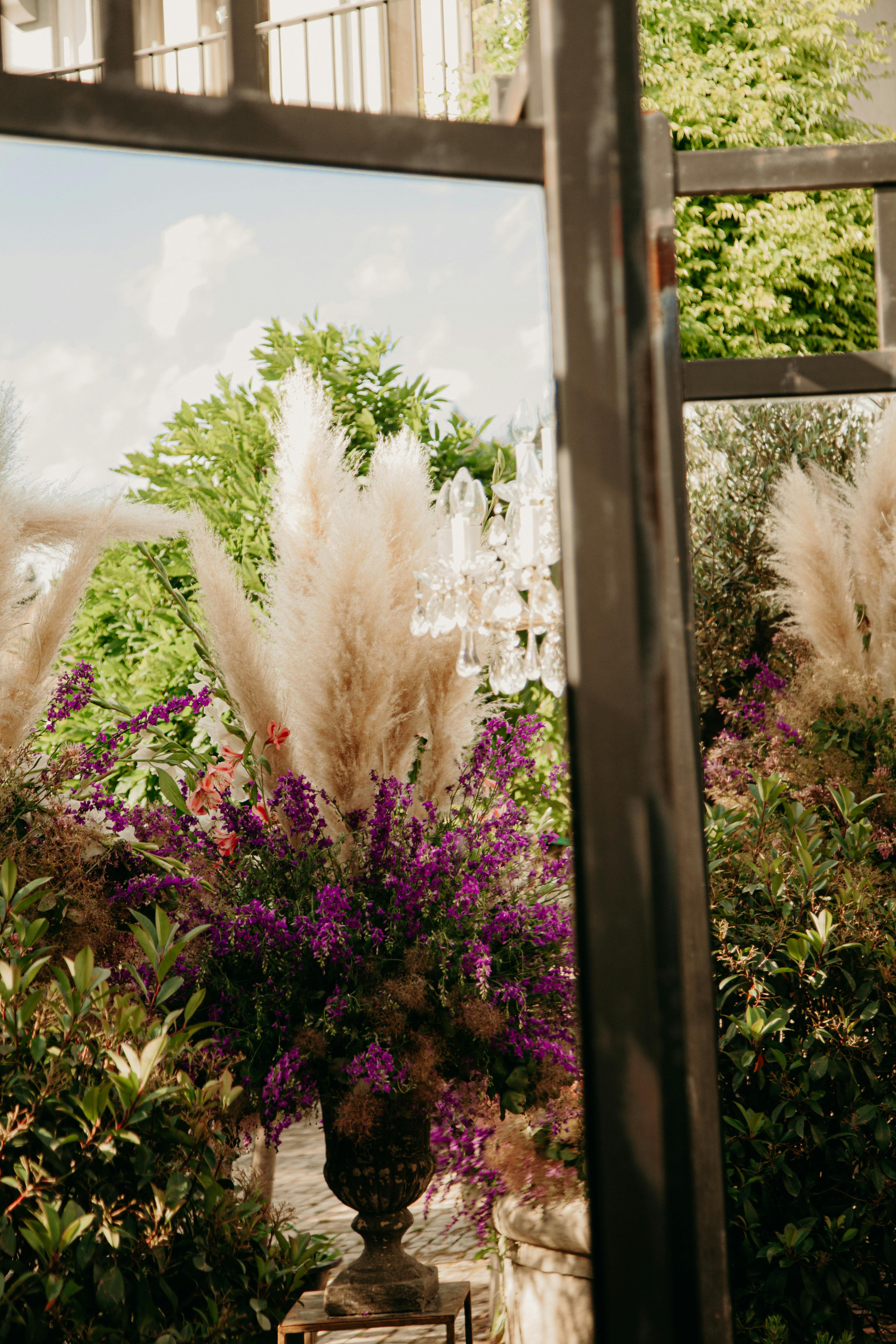 White Petaled Flower Reflection From Small Round Mirror · Free Stock Photo