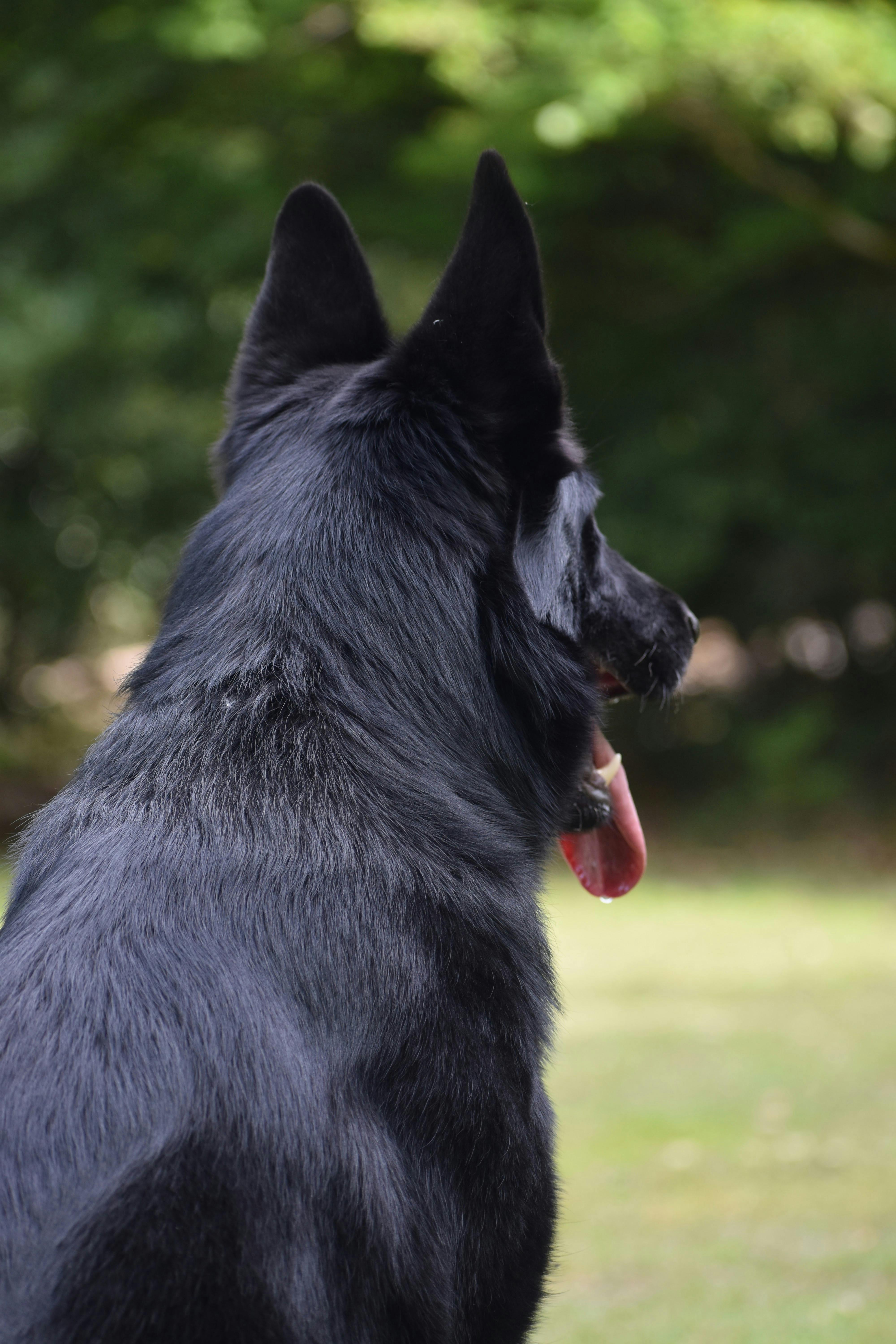 Still Life 60 Photos & Videos Collected by Joshua Miranda