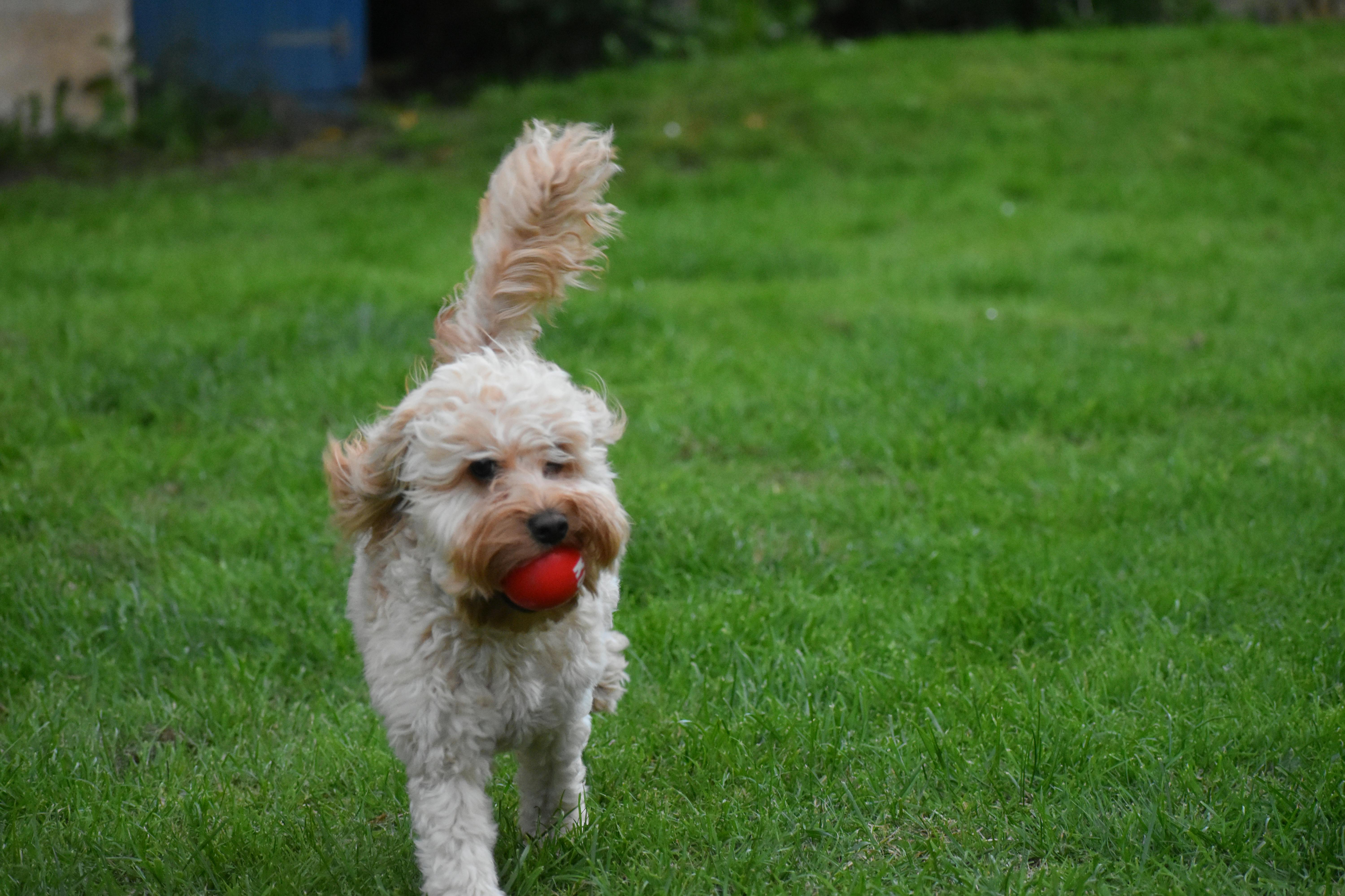 Still Life 60 Photos & Videos Collected by Joshua Miranda