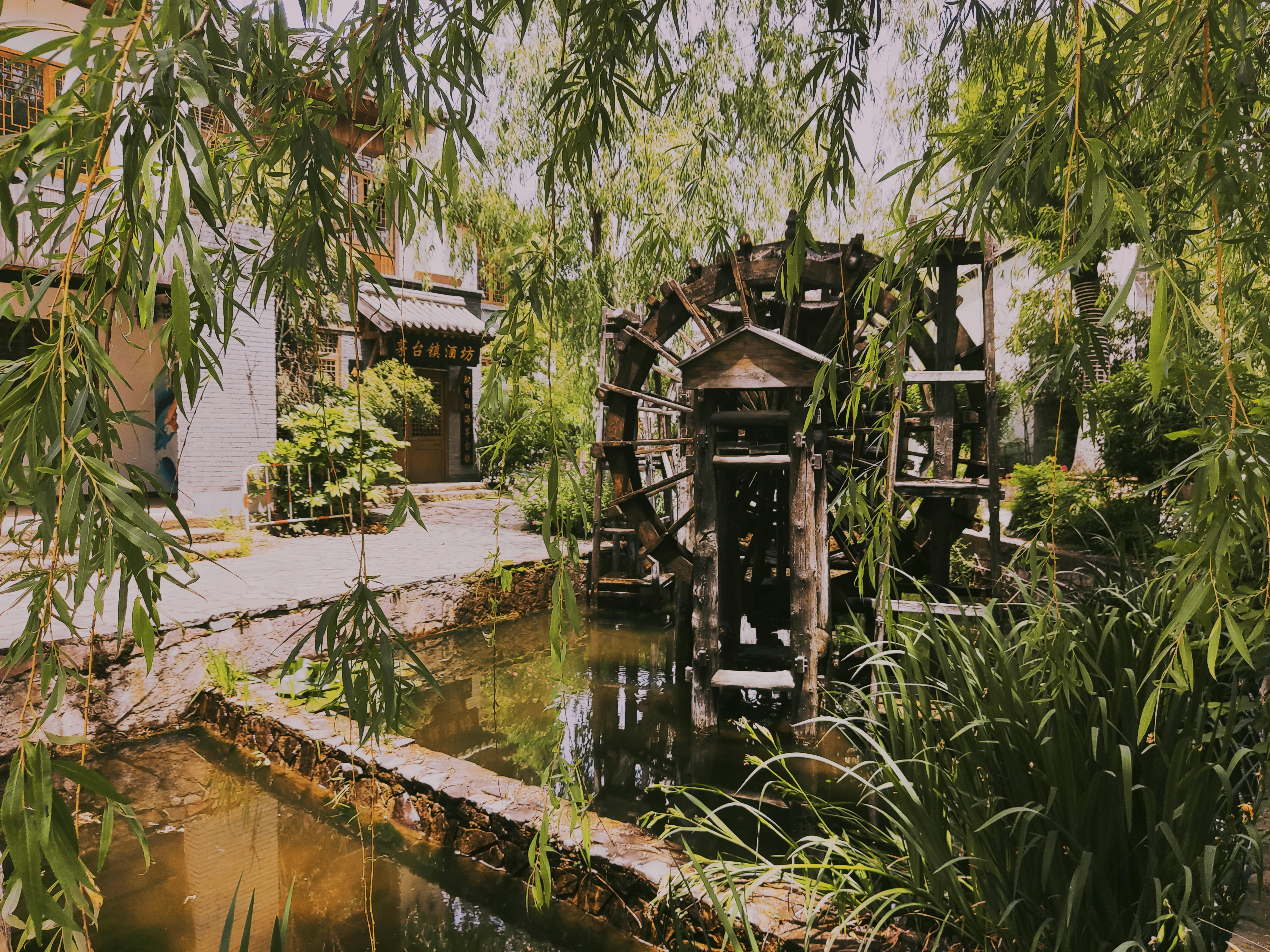 Water Mill on River · Free Stock Photo