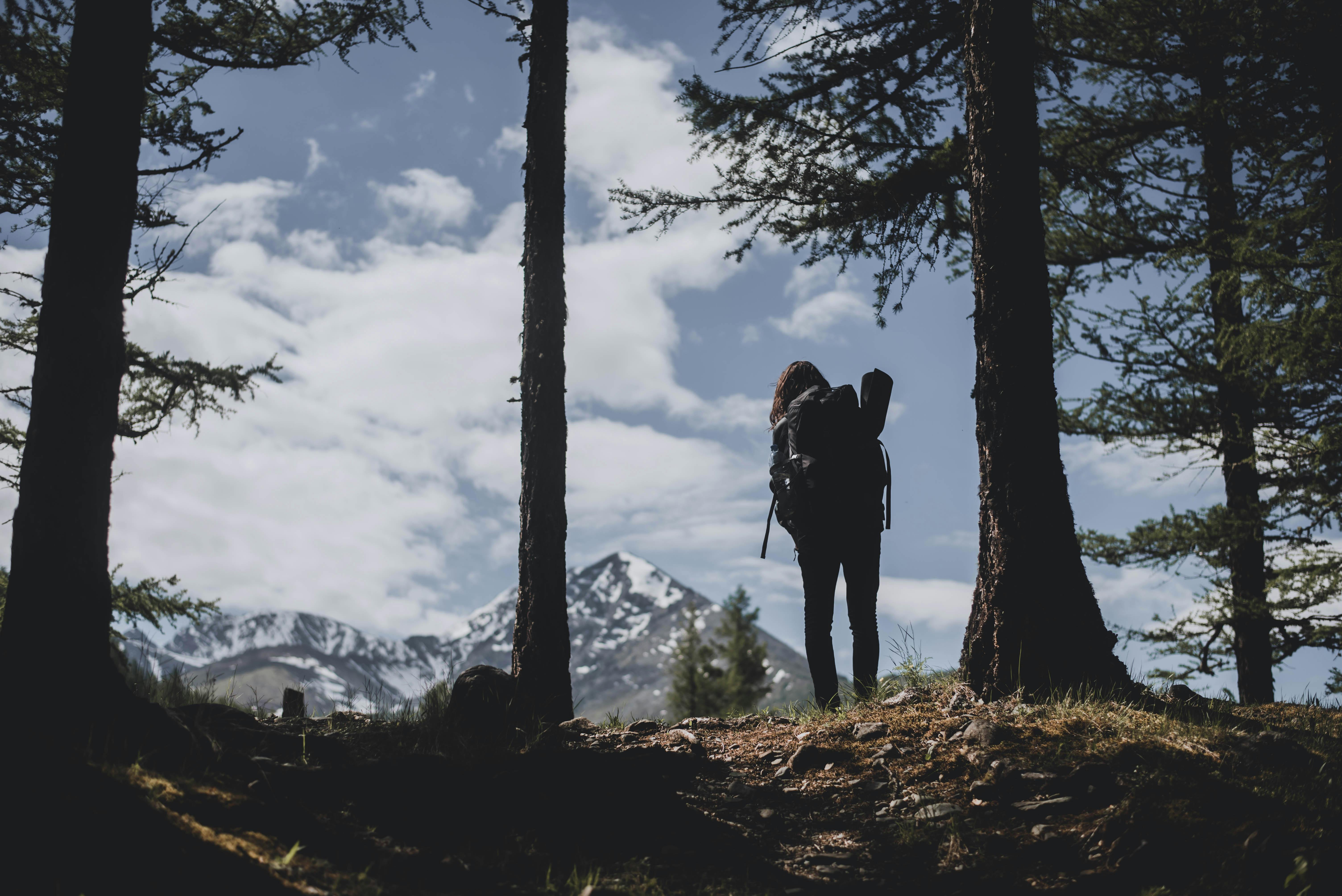 Person with Backpack Standing near Trees · Free Stock Photo