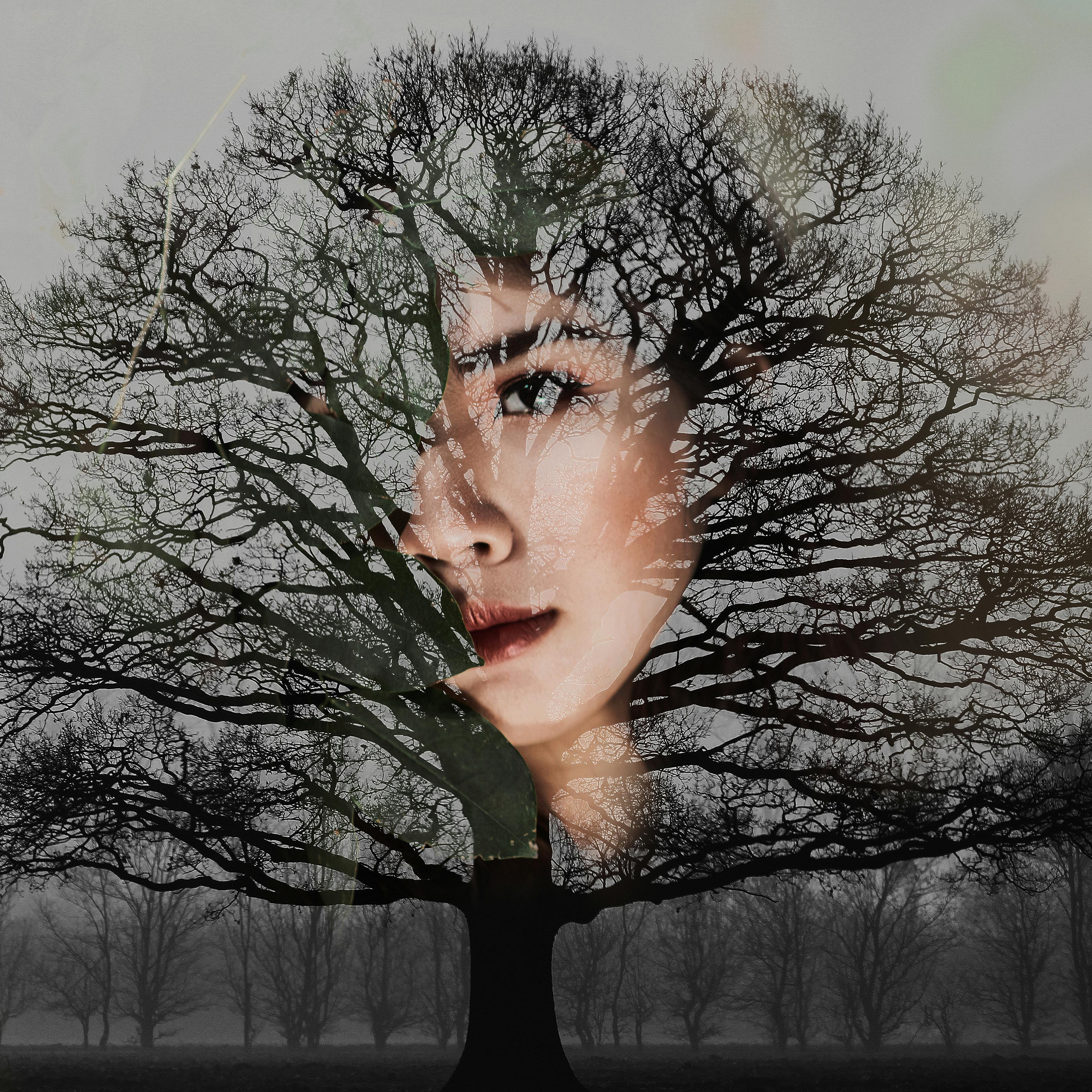 Woman's Face With Bare Tree Artwork · Free Stock Photo