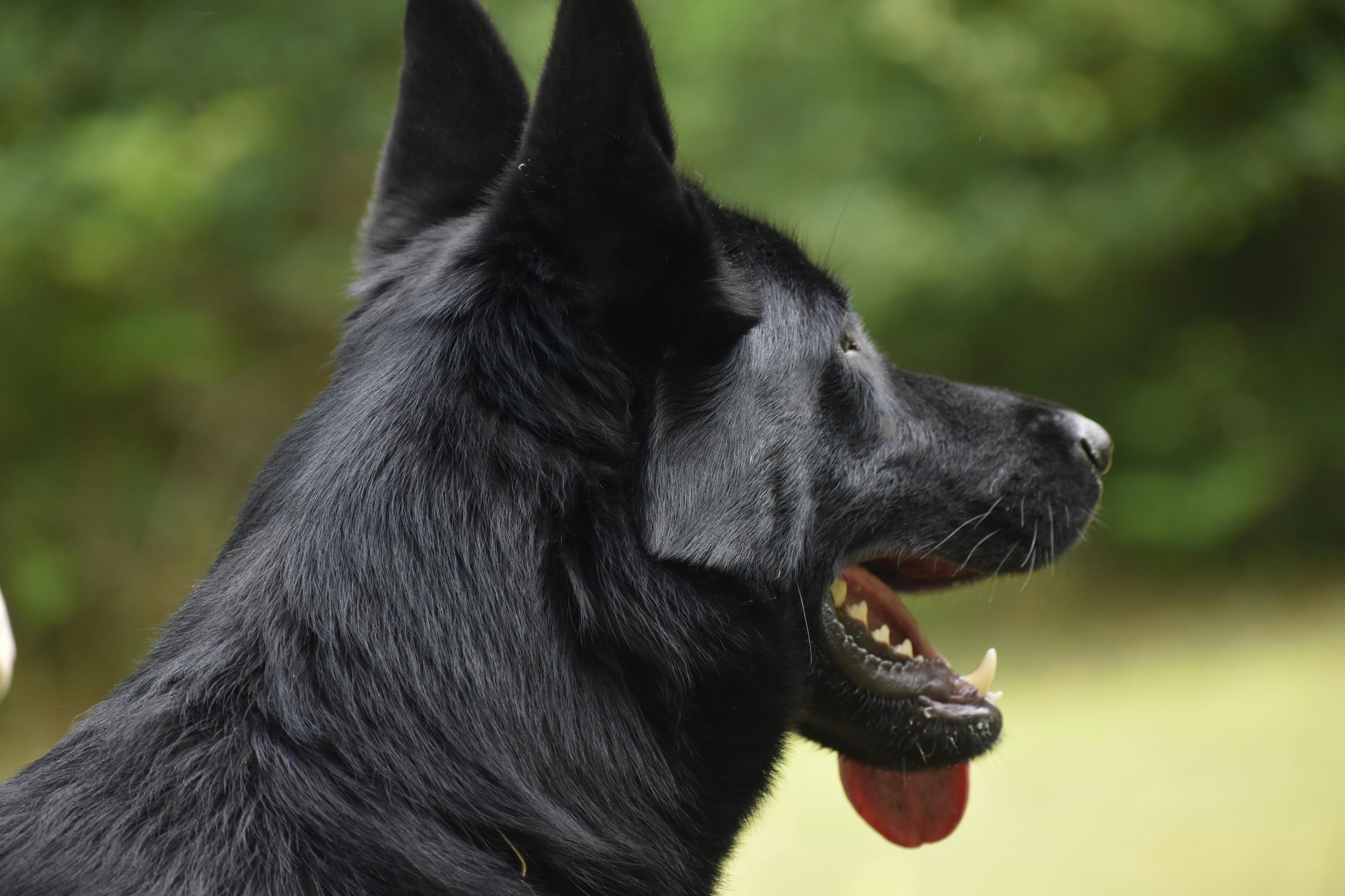 Still Life 60 Photos & Videos Collected by Joshua Miranda