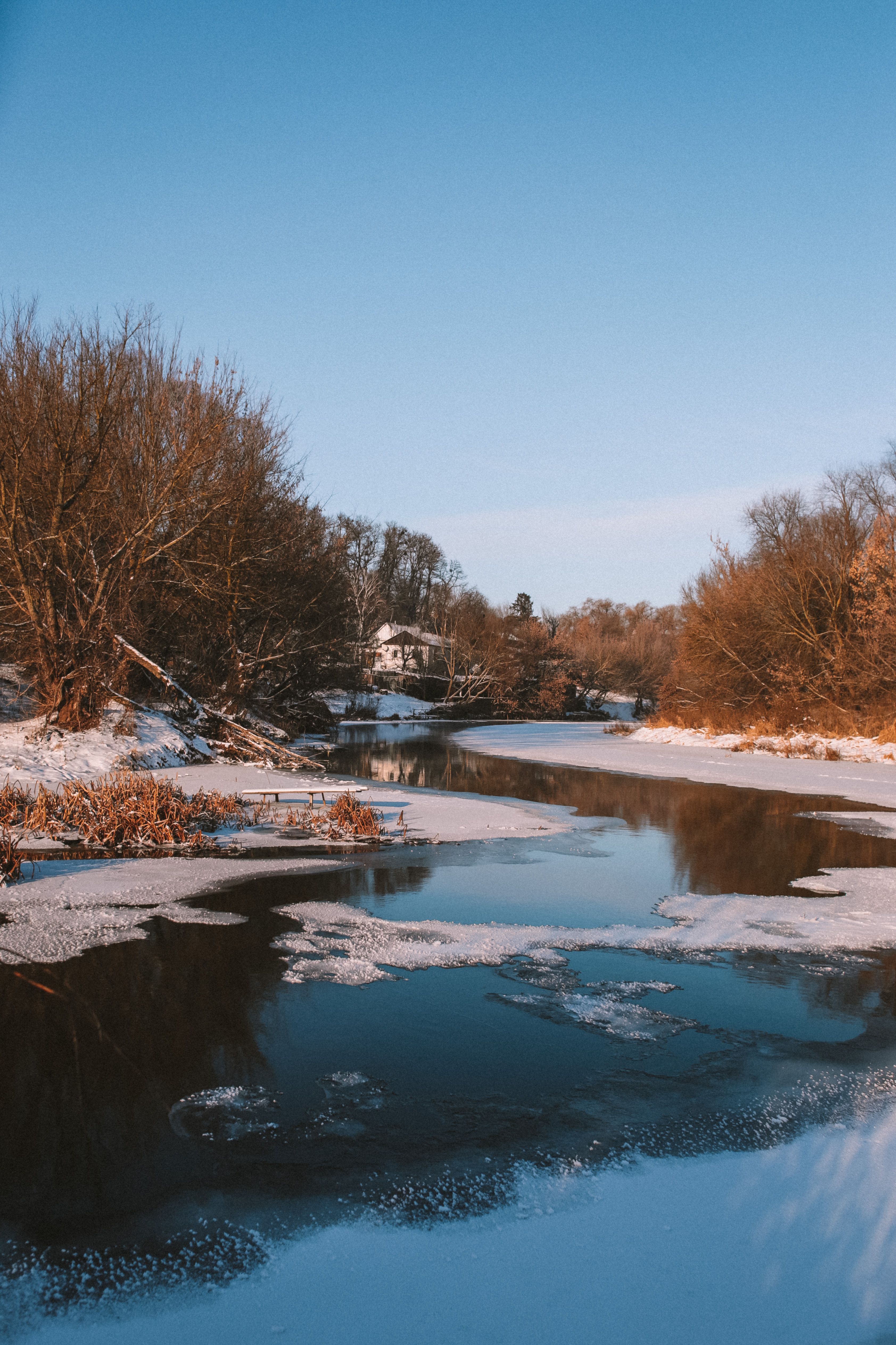 A River between Leafless Trees · Free Stock Photo