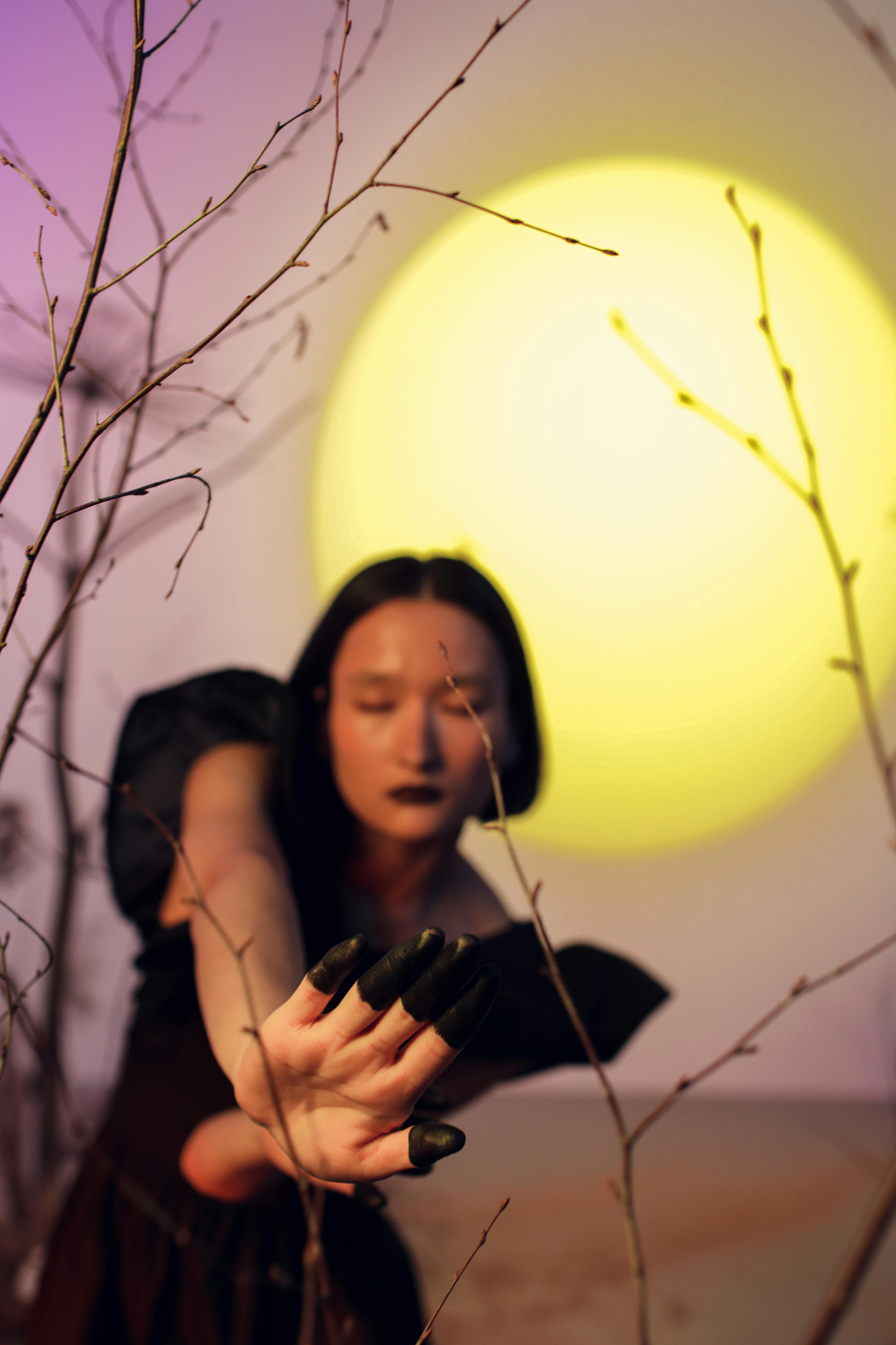 Witch Moon Photos, Download The BEST Free Witch Moon Stock Photos & HD ...