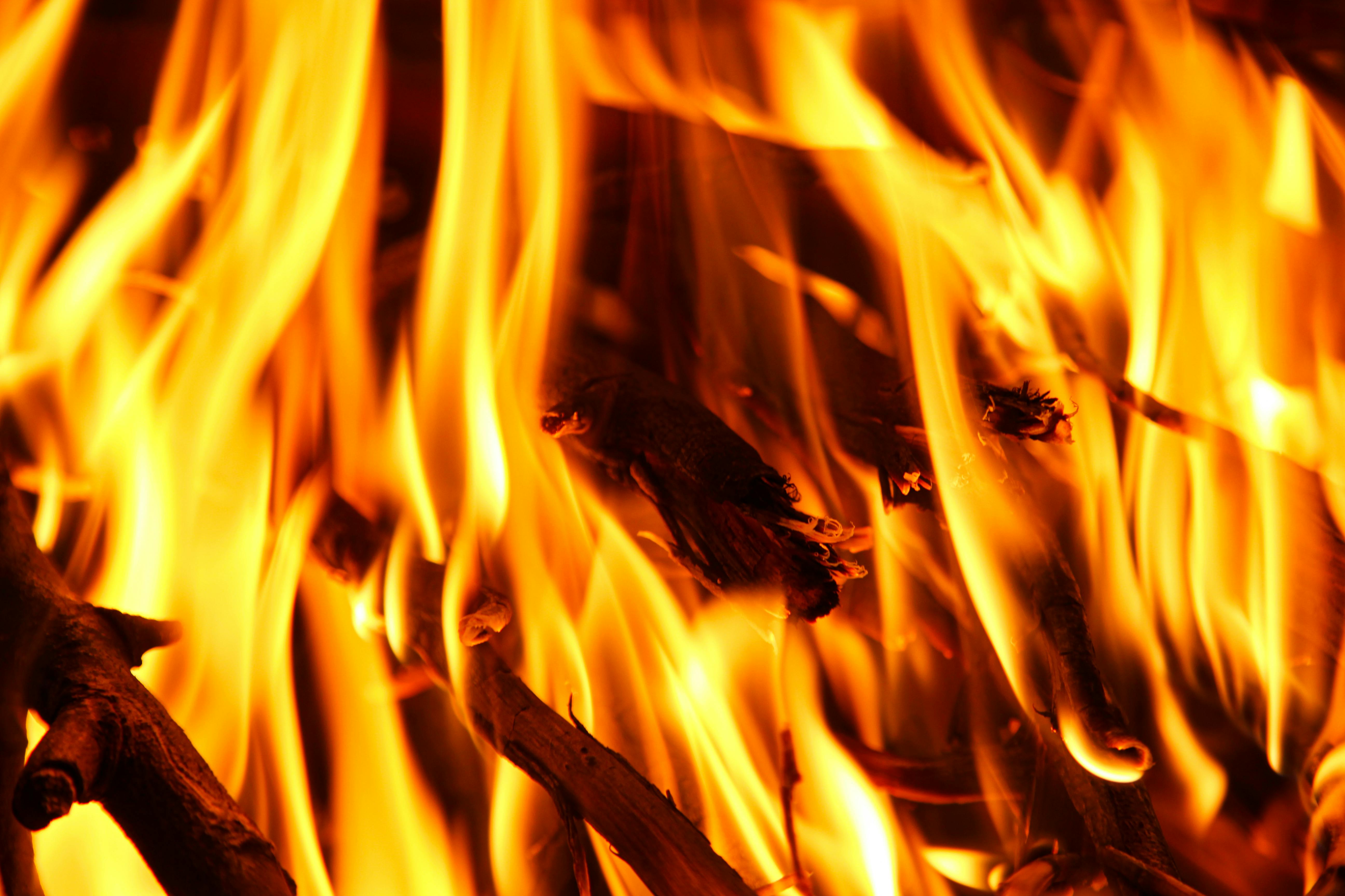Close-Up Shot of Blazing Fire · Free Stock Photo