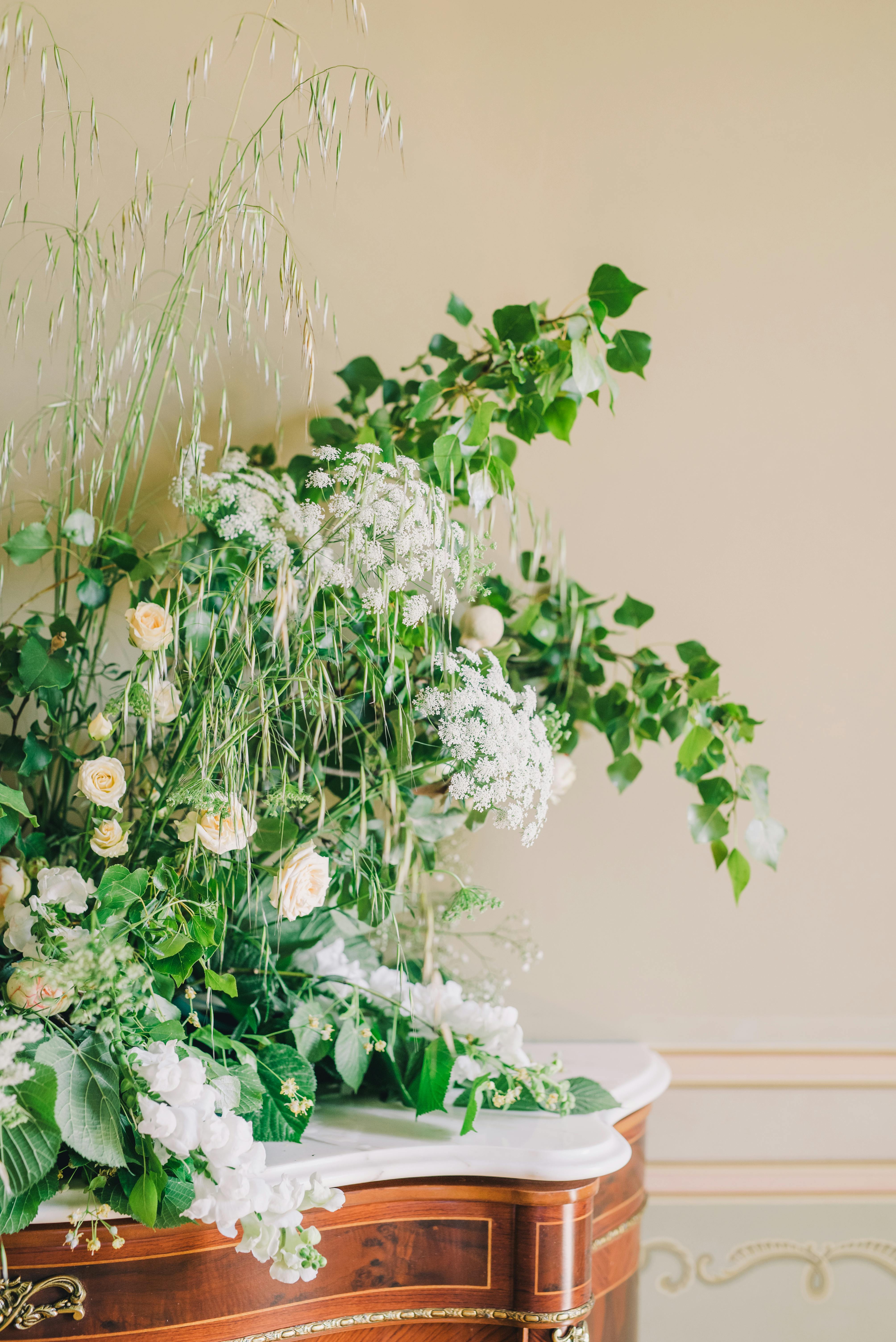 A Flowering Plant On Table · Free Stock Photo