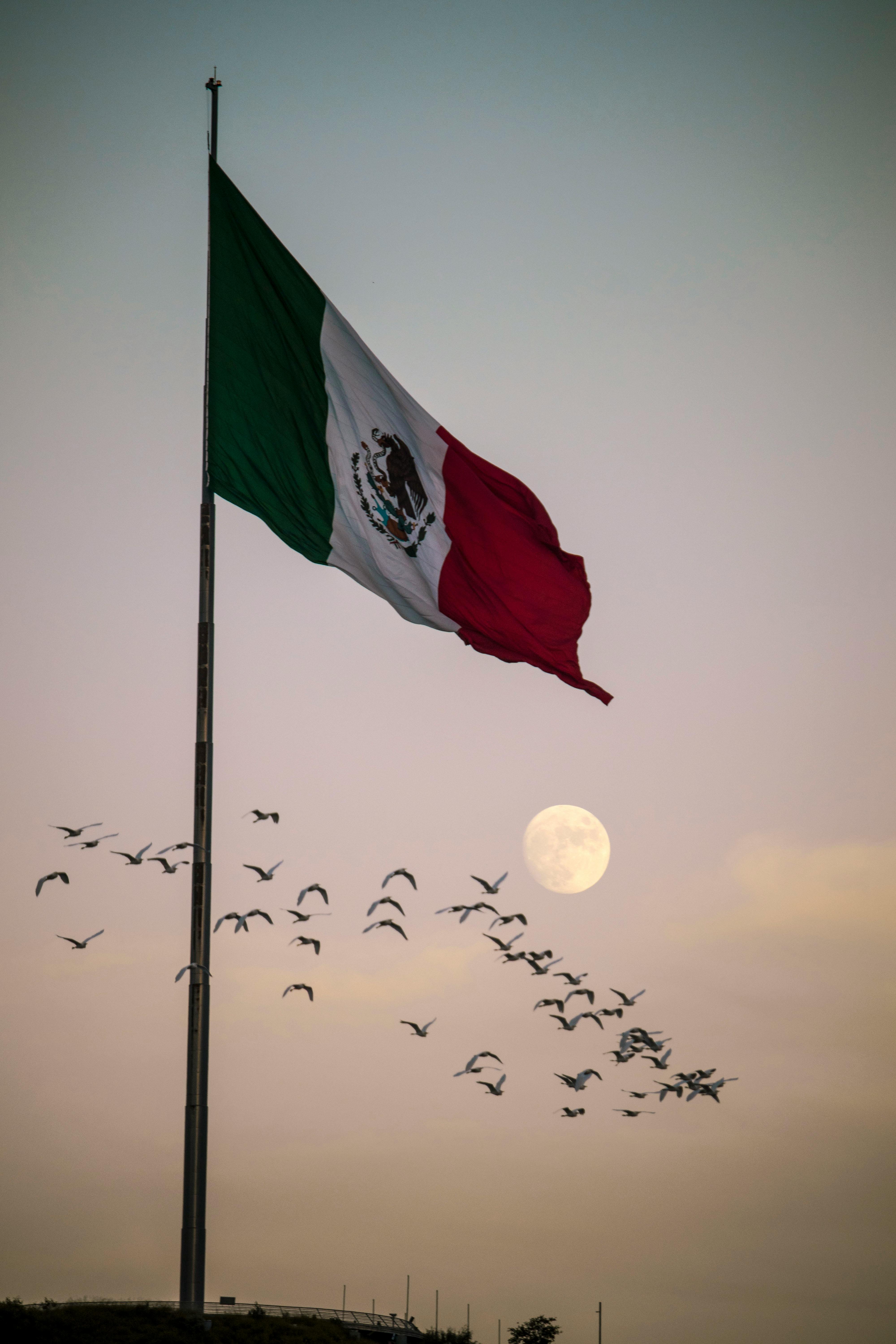Mexican Flag Flying above Plaza · Free Stock Photo