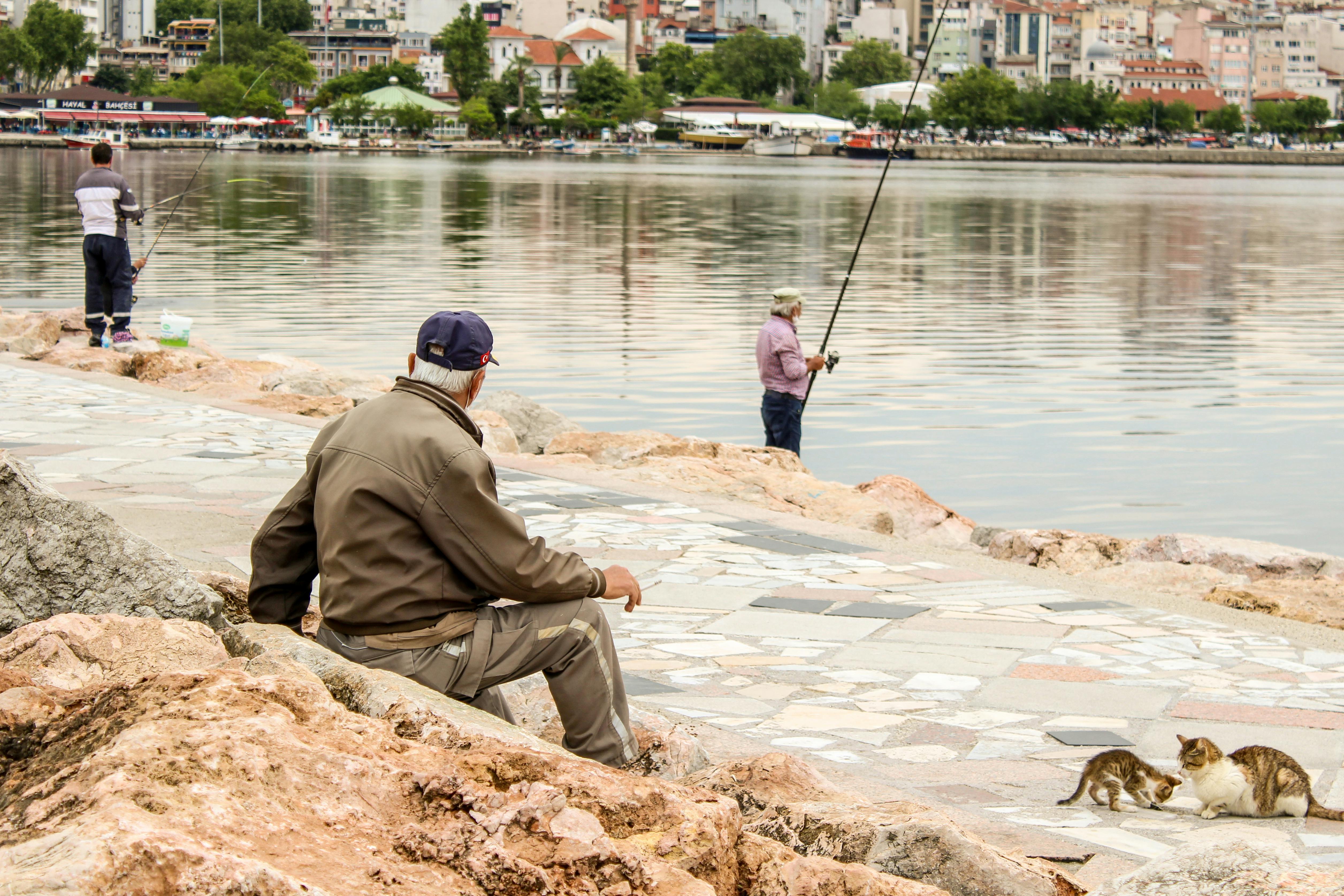 Feral Fish Photos, Download The BEST Free Feral Fish Stock Photos & HD ...