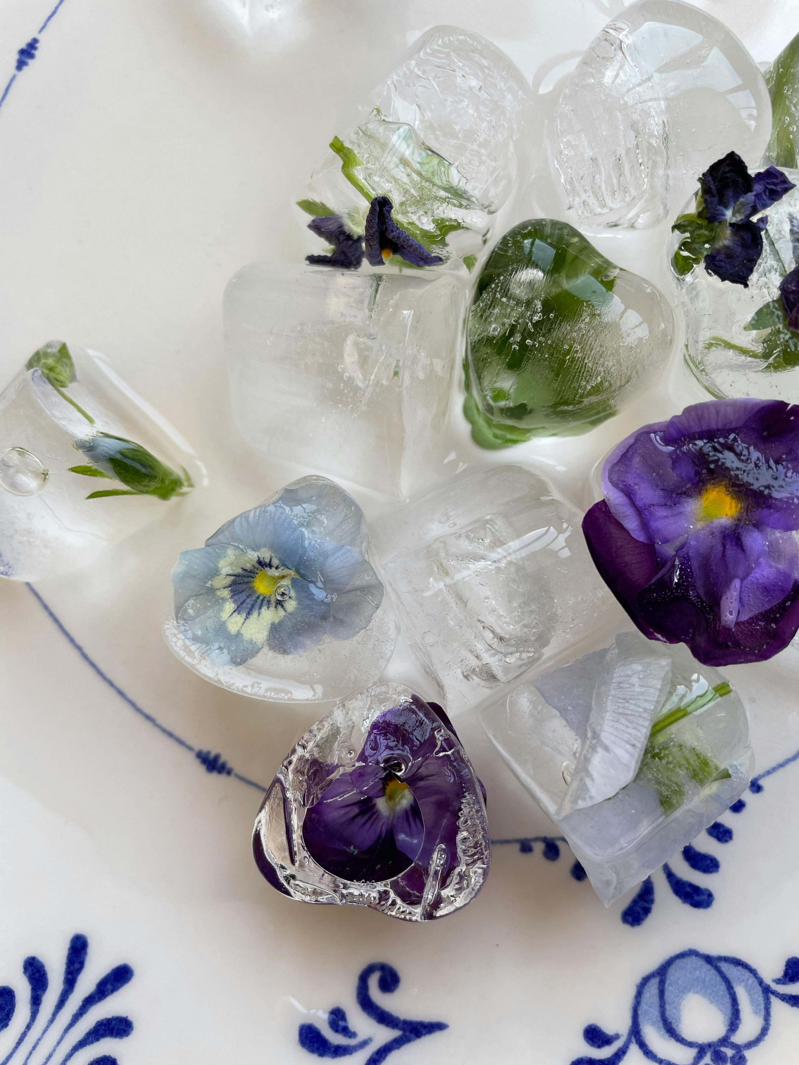 Ice Edible Flowers Photos, Download The BEST Free Ice Edible Flowers ...