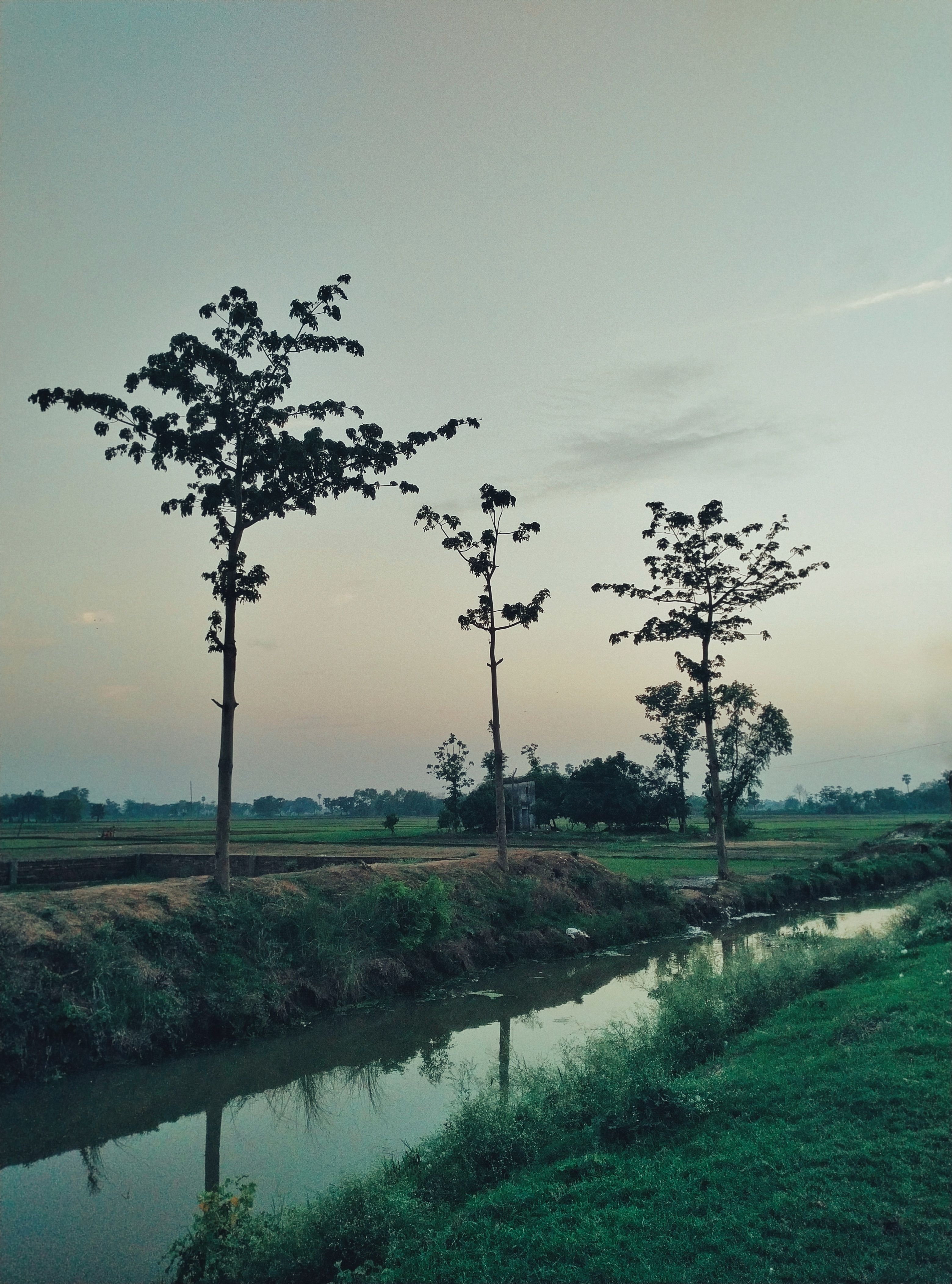 Rural Landscape at Dawn · Free Stock Photo