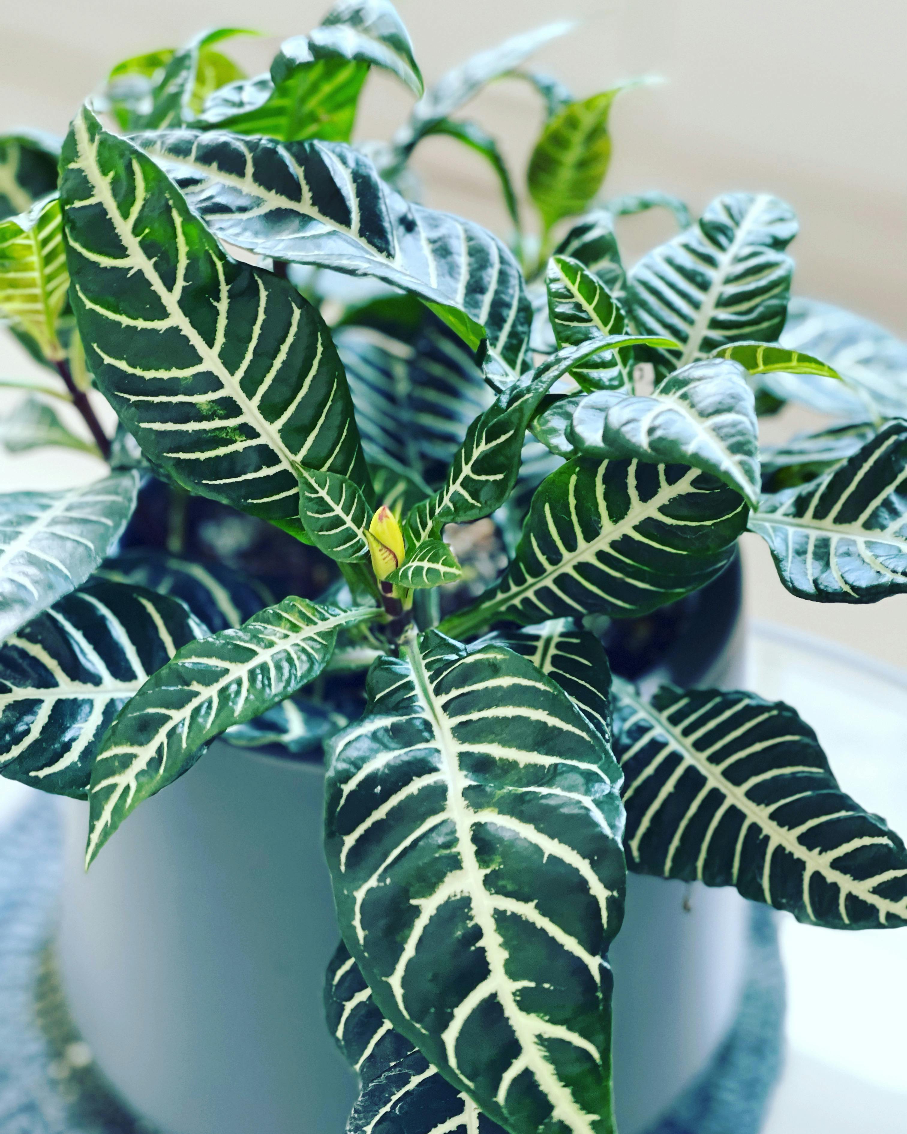 NOVEMBER22 104 Photos & Videos Collected by Hannah Samson