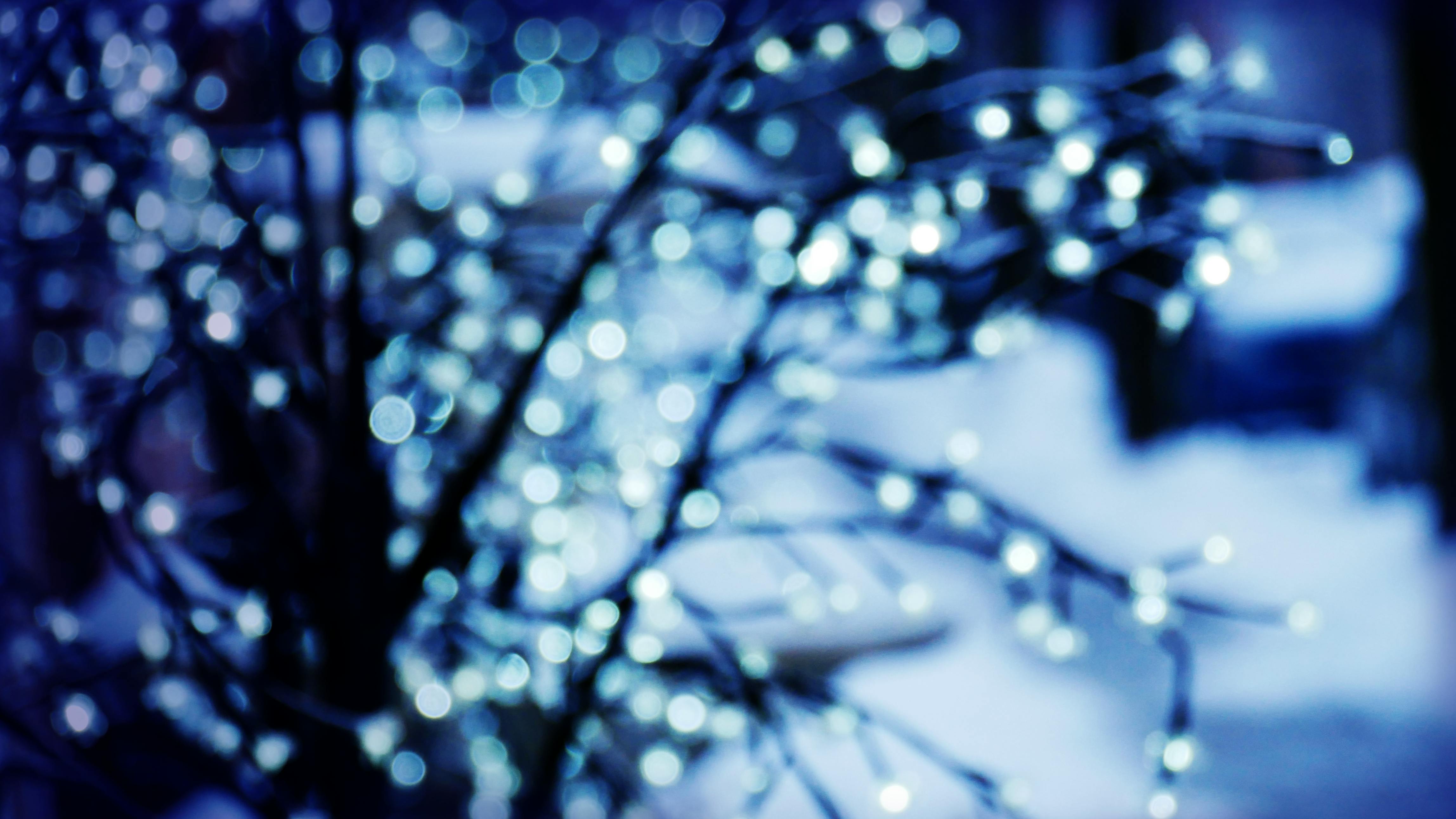 David Libeau - Photography