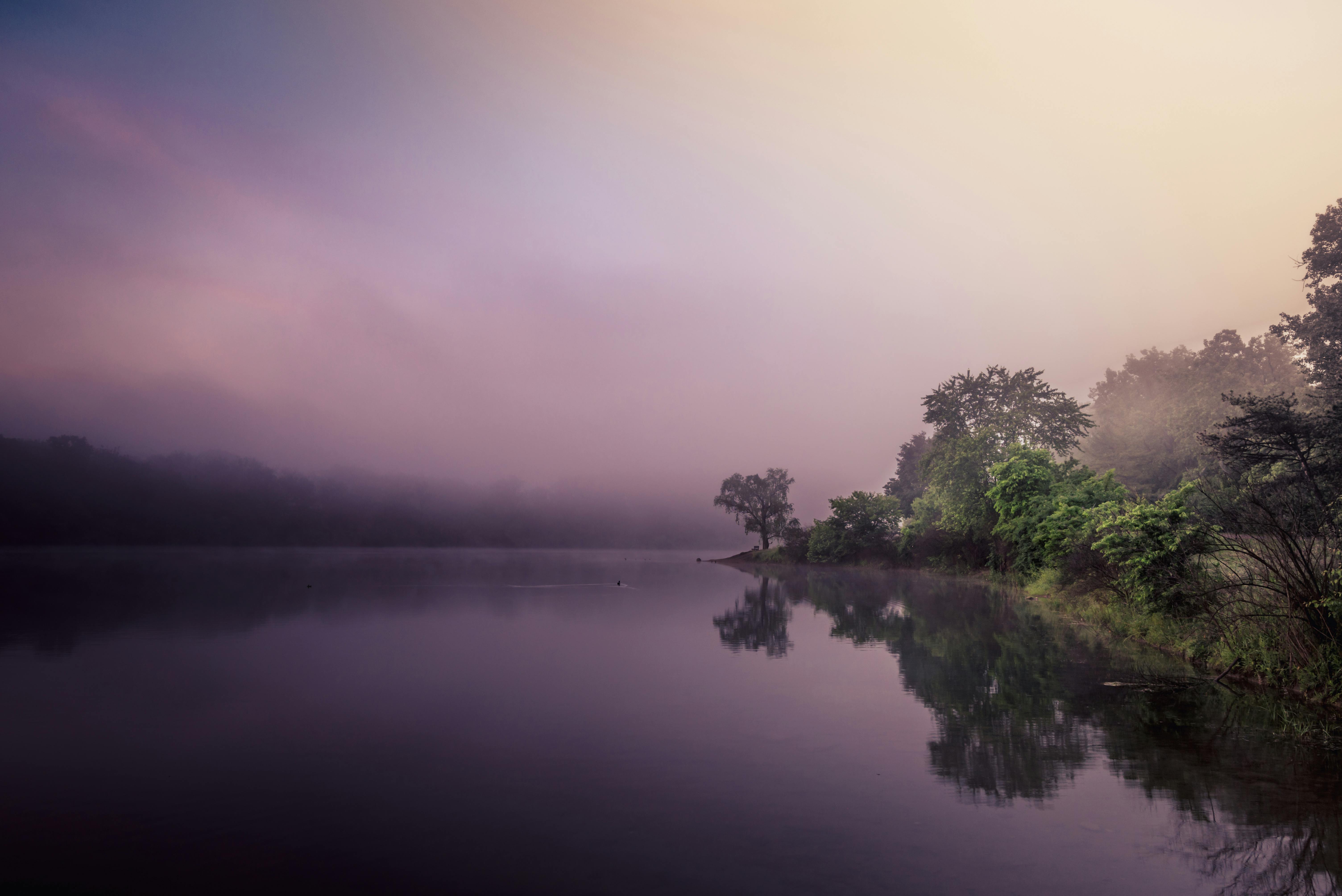 Body of Water Under Fog · Free Stock Photo
