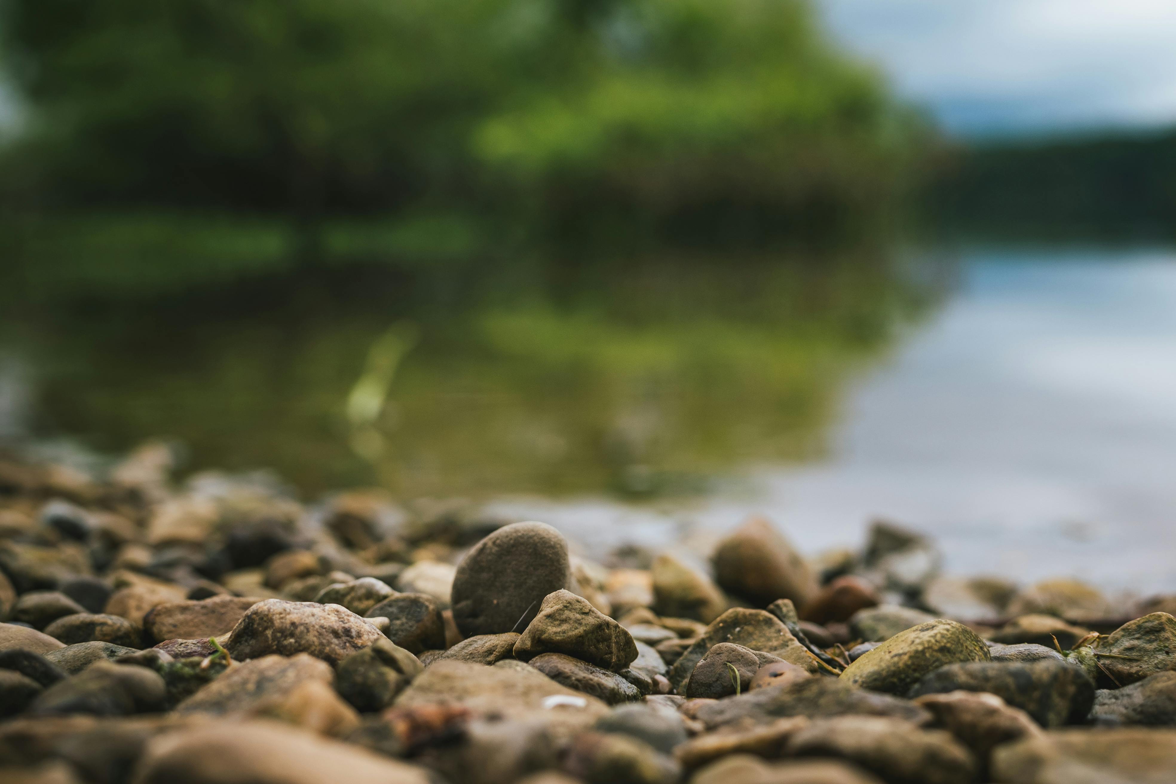 Close-Up Photo of Pebbles · Free Stock Photo