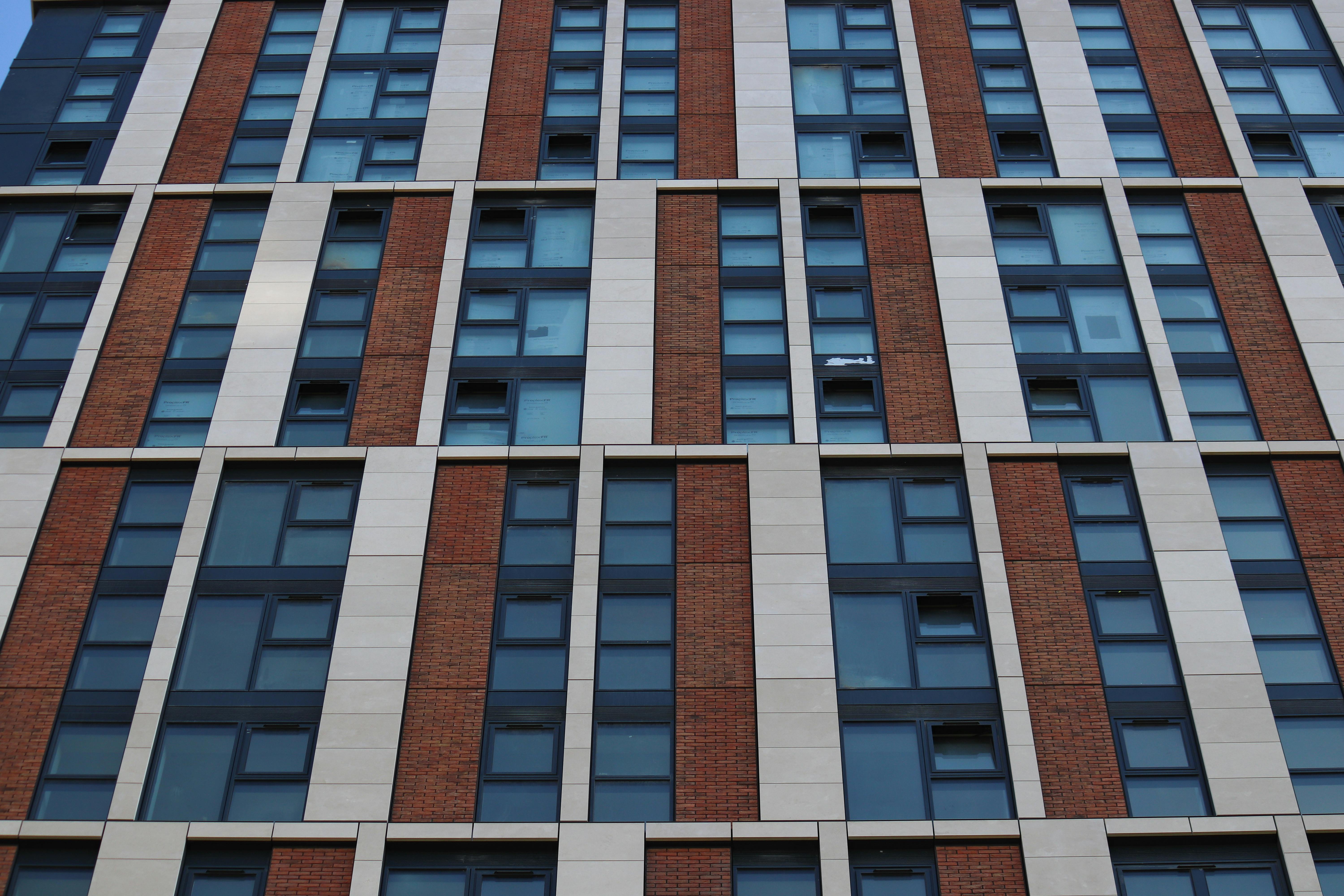 Windows in Building · Free Stock Photo