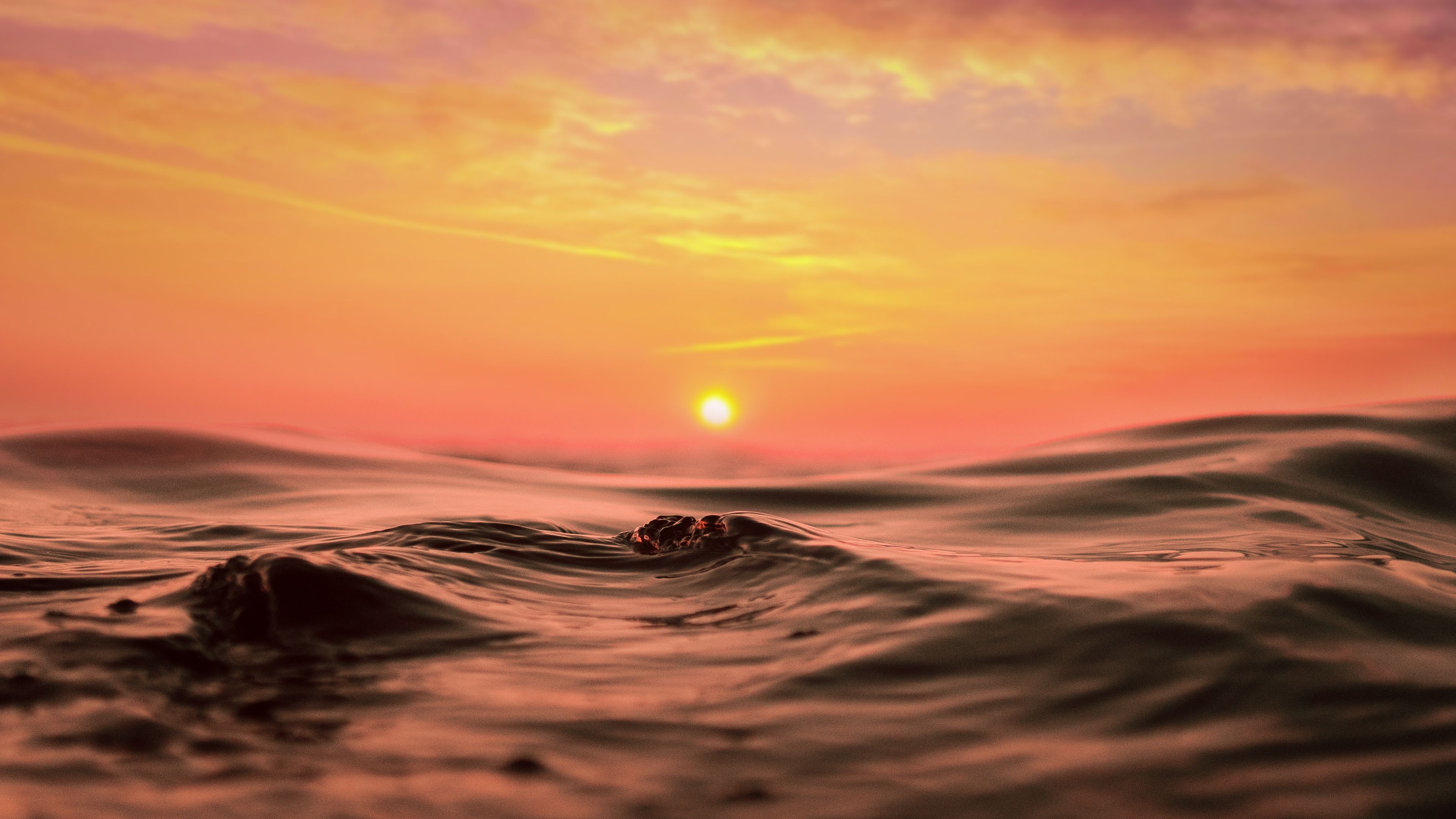 Wide Shot of an Ocean During Sunset · Free Stock Photo