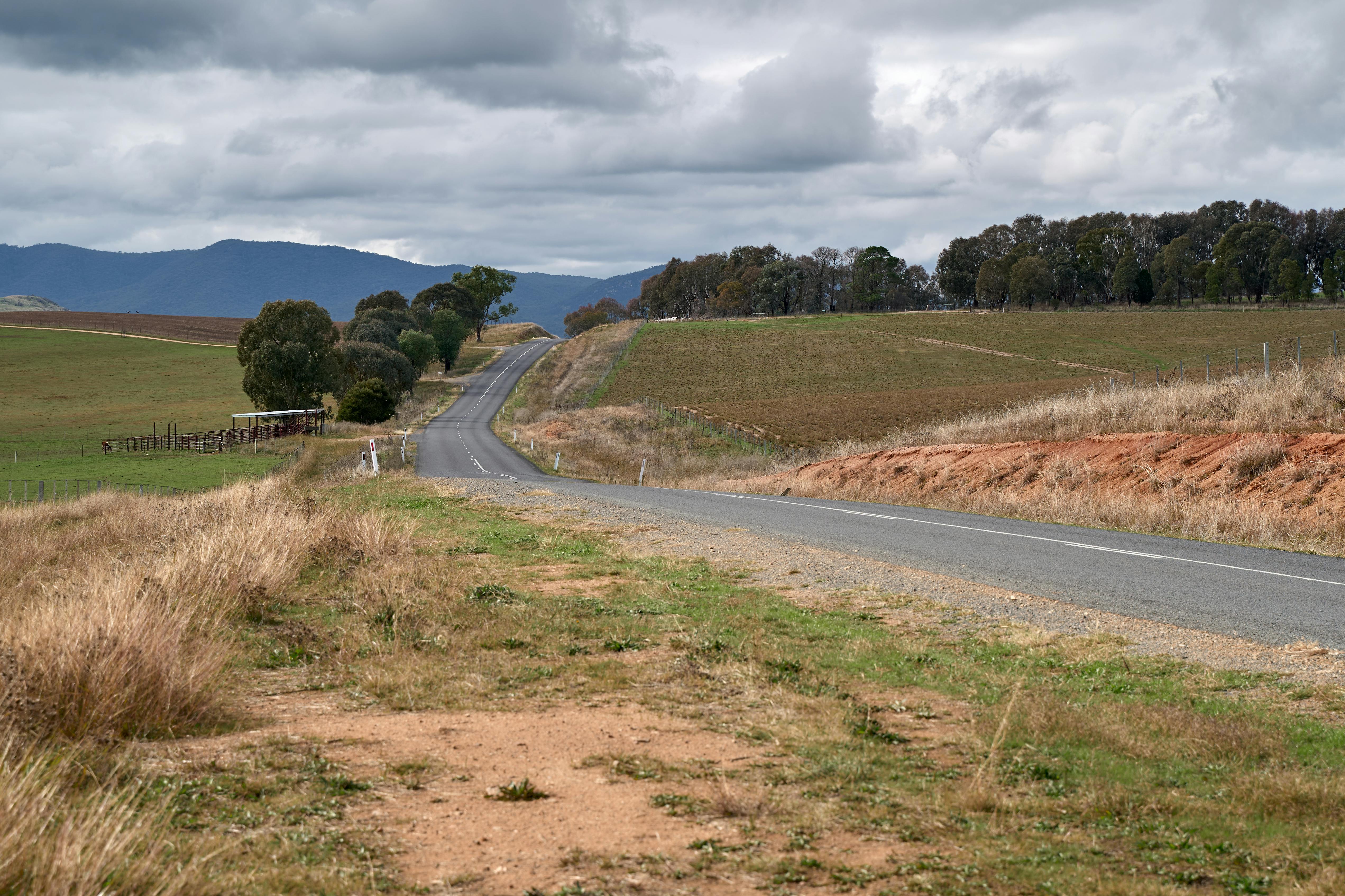 Photograph of a Road Near Trees · Free Stock Photo