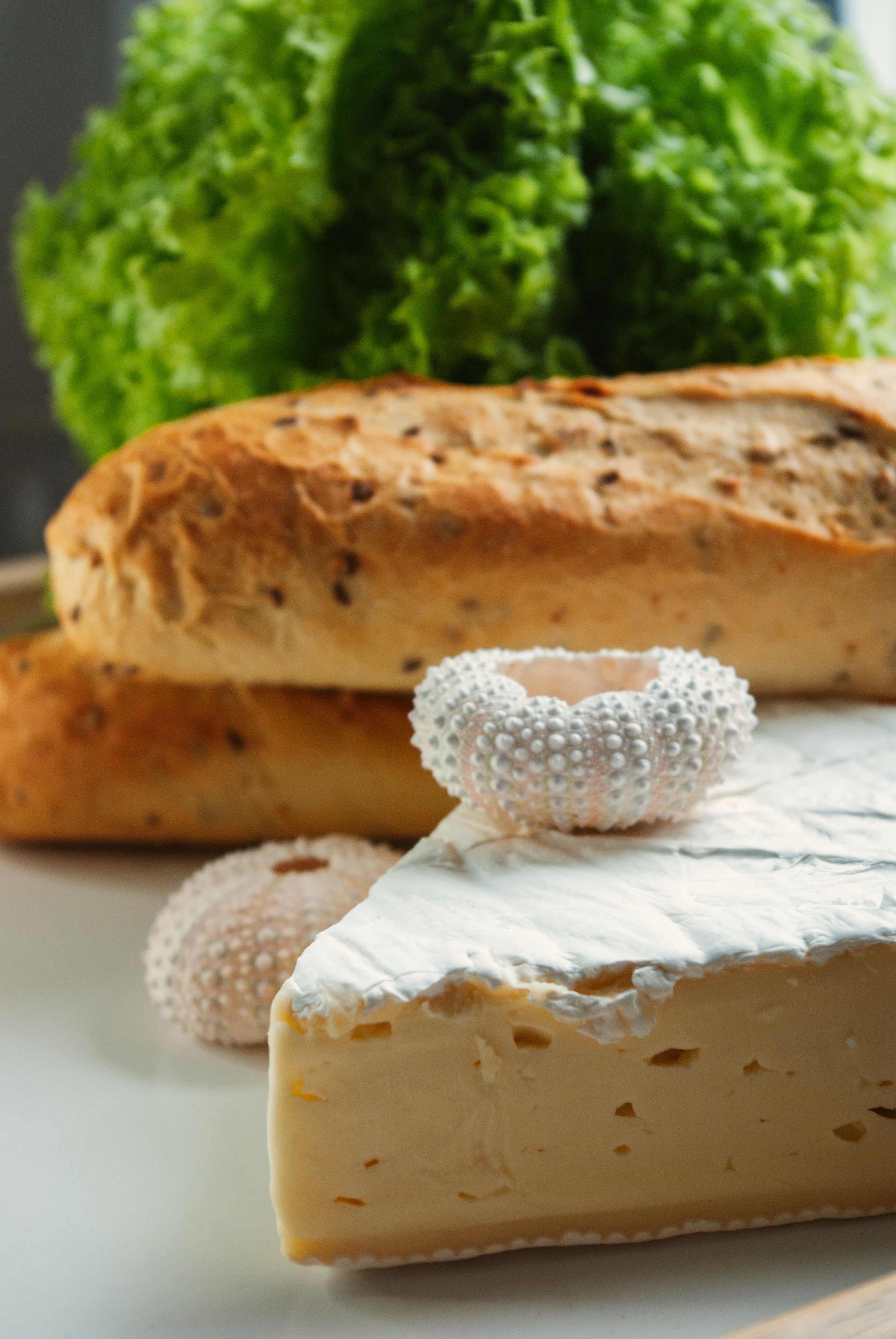 Cheese Wallpapers Photos, Download The BEST Free Cheese Wallpapers ...