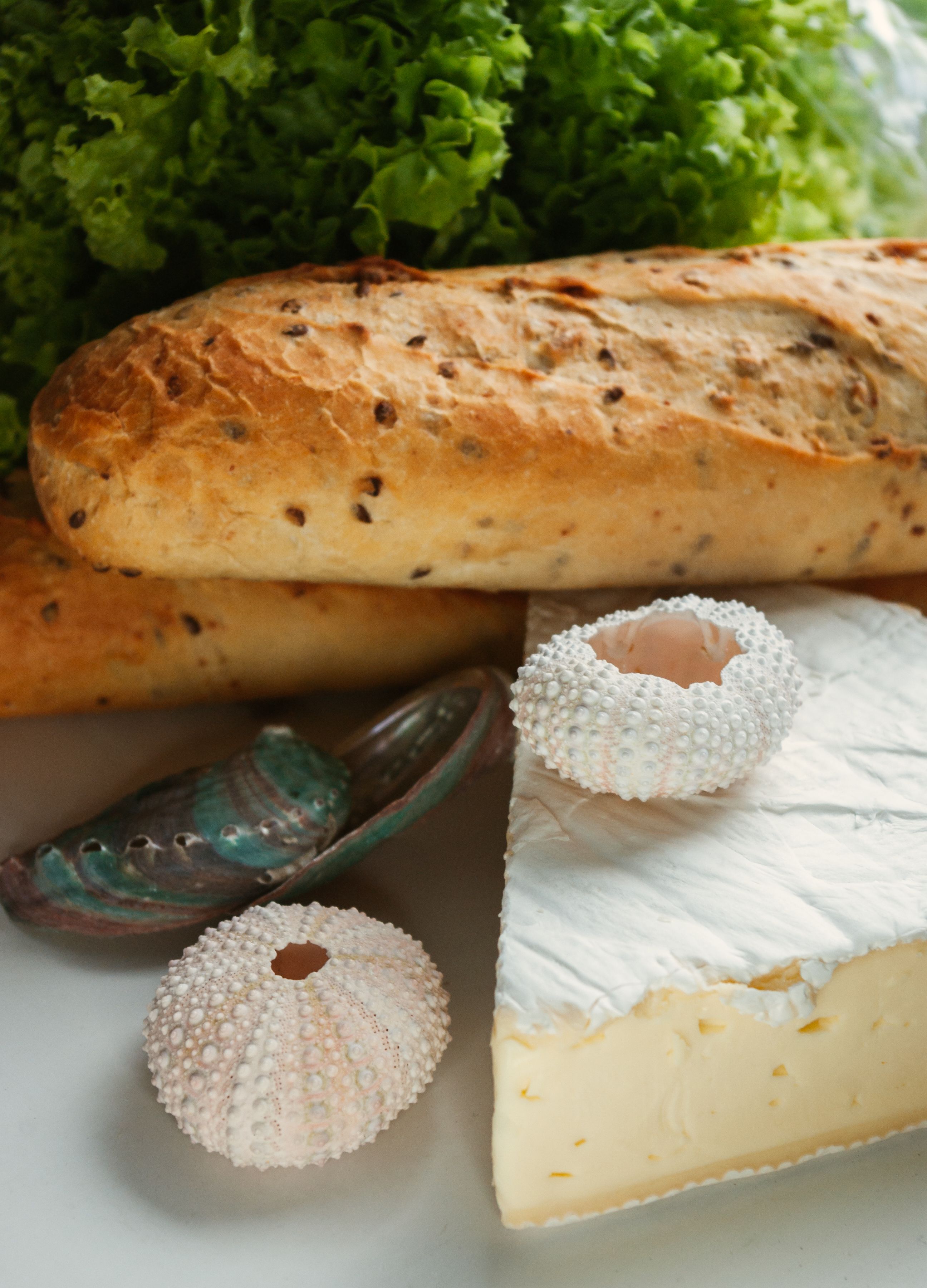 Cheese Wallpapers Photos, Download The BEST Free Cheese Wallpapers ...
