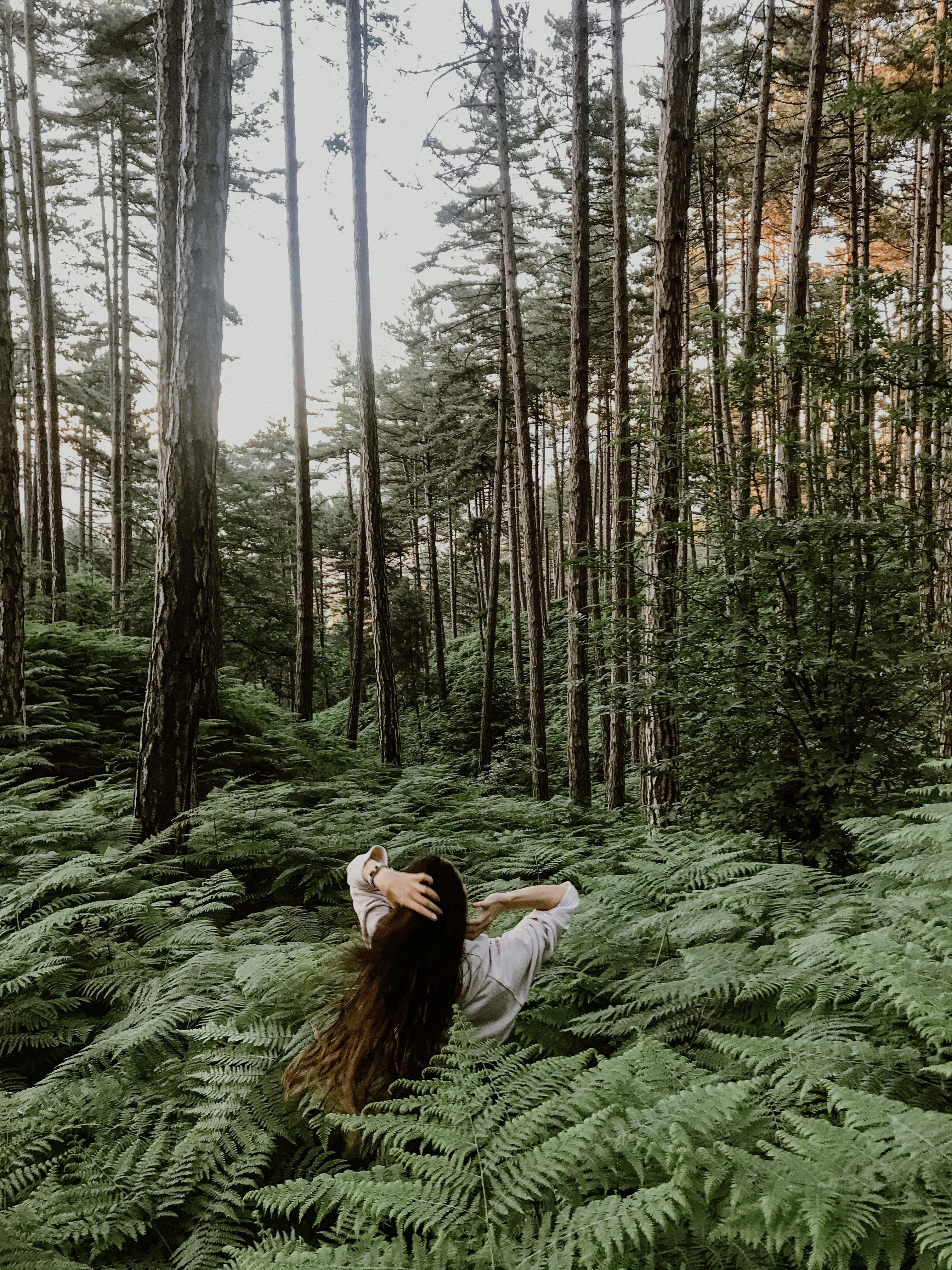 Woman among leaves in forest · Free Stock Photo